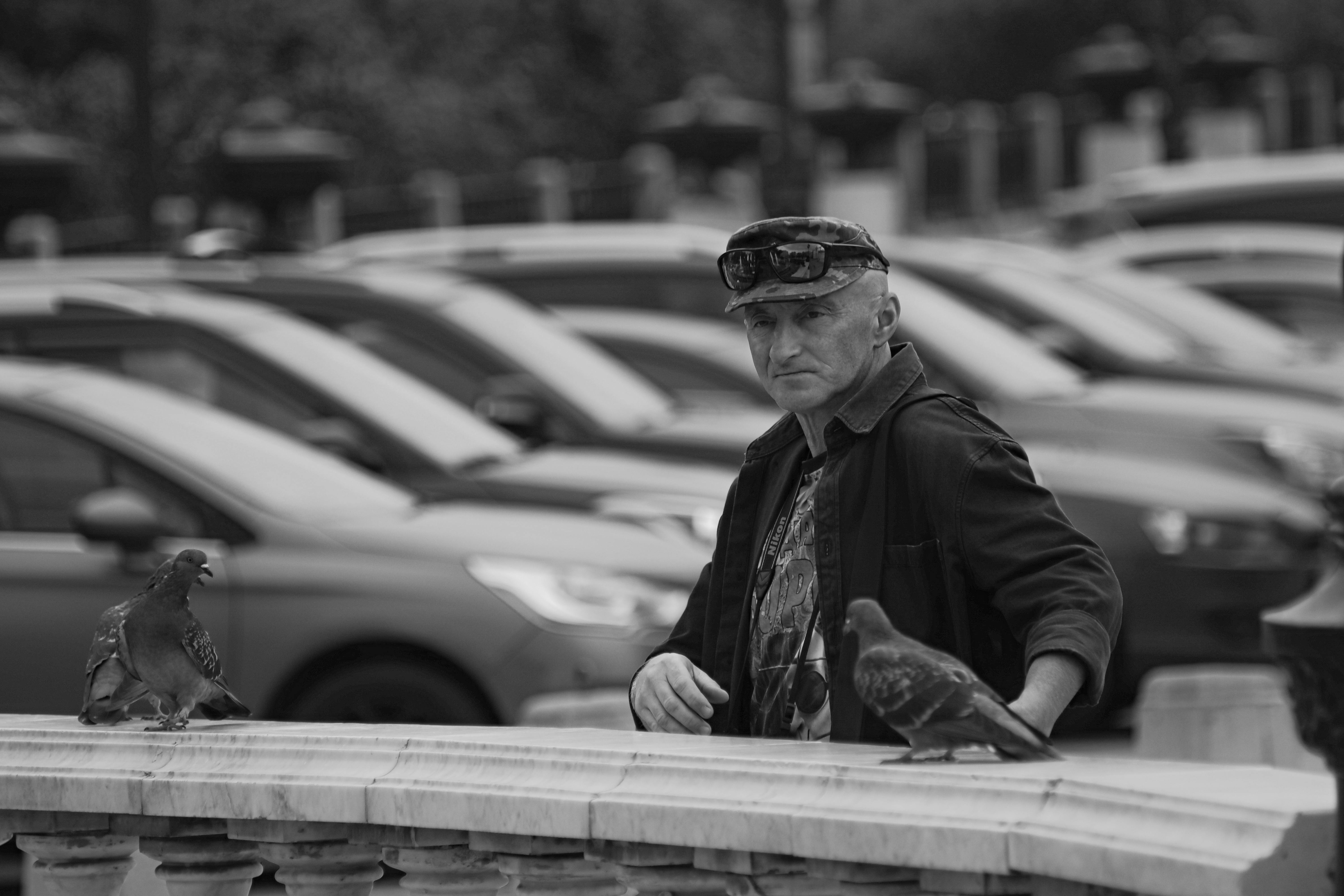 Man with Pigeons · Free Stock Photo