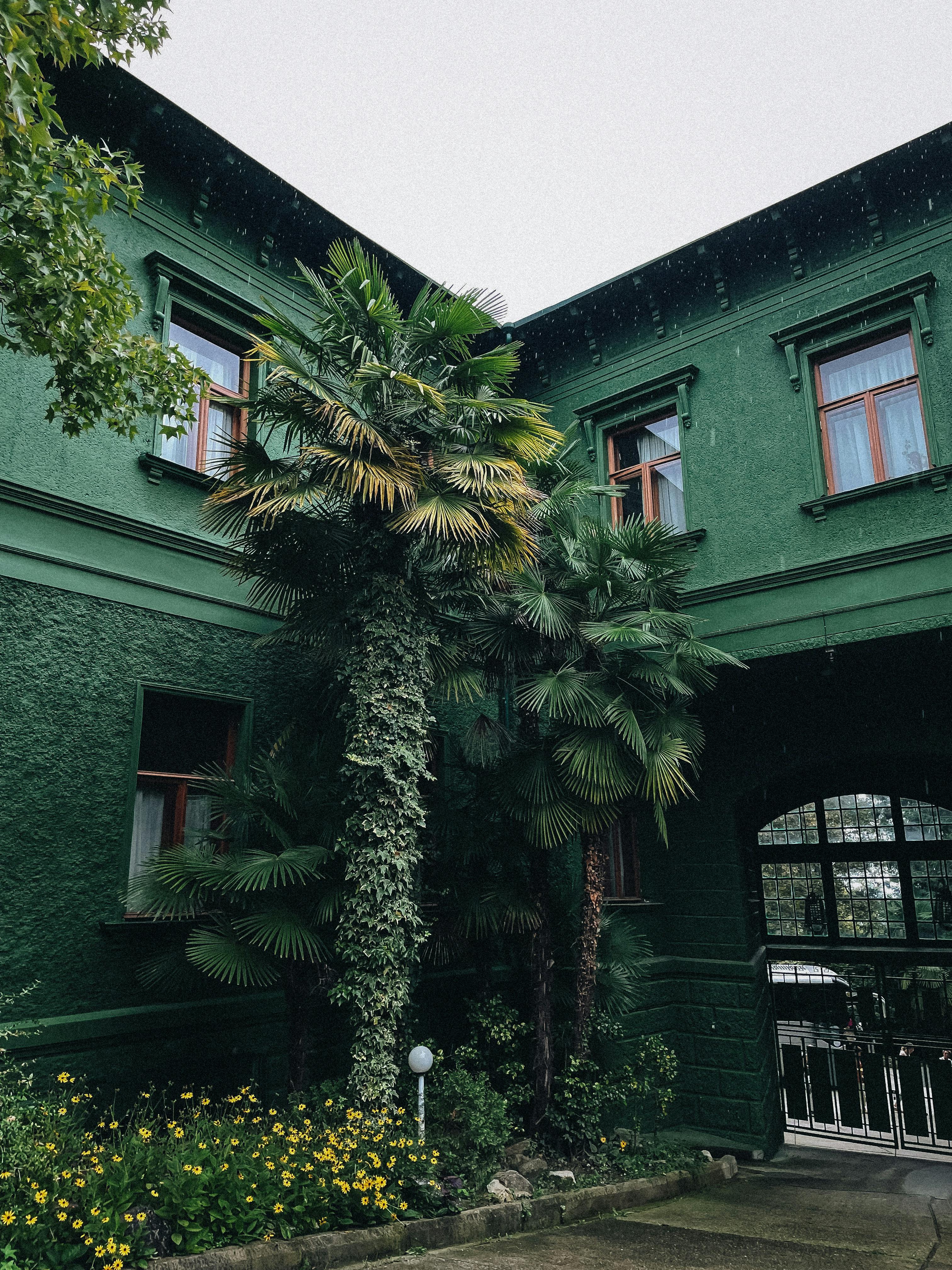 Photo of Palm Trees and Flowers Near a Building · Free Stock Photo