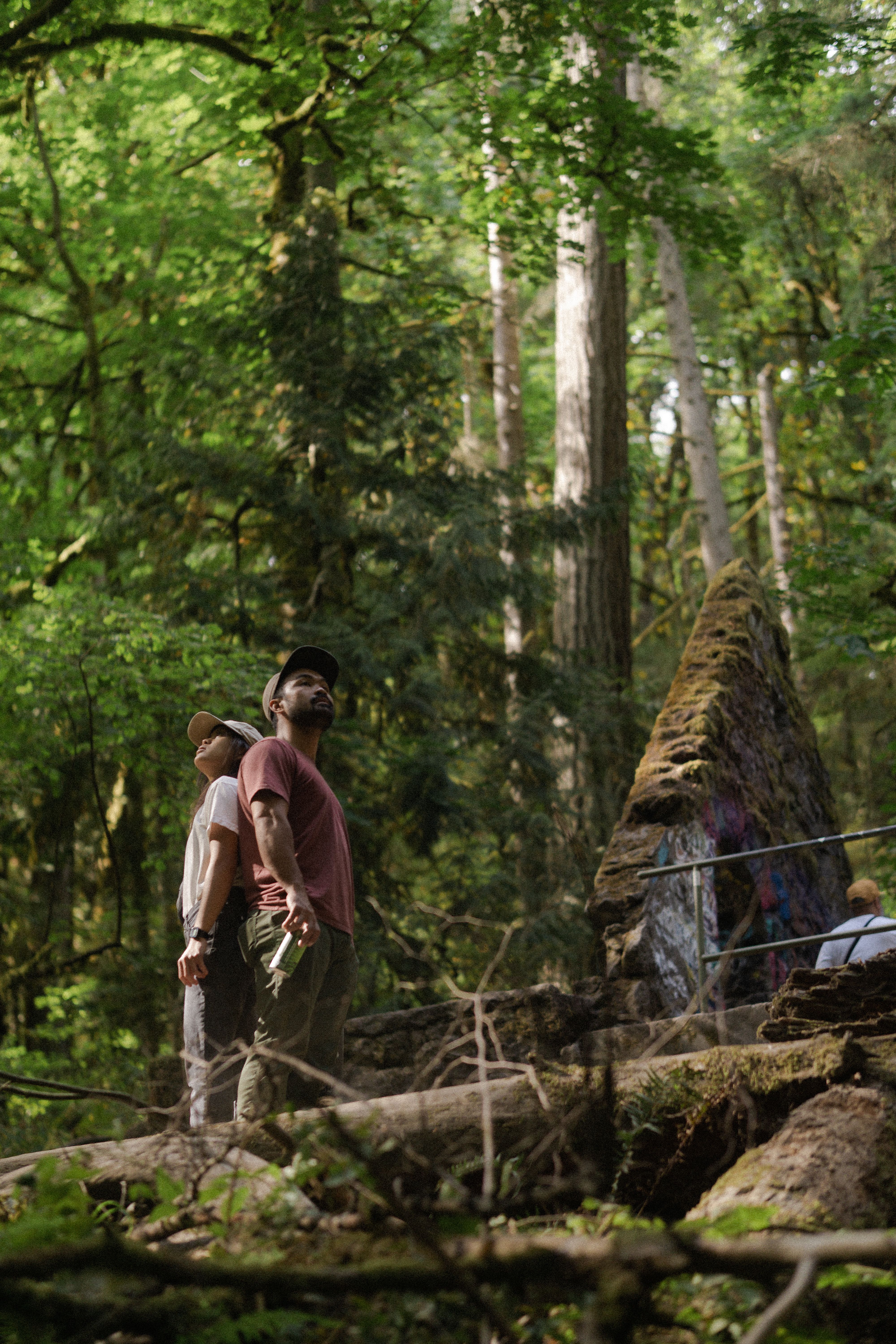 People Standing Back to Back in a Forest · Free Stock Photo