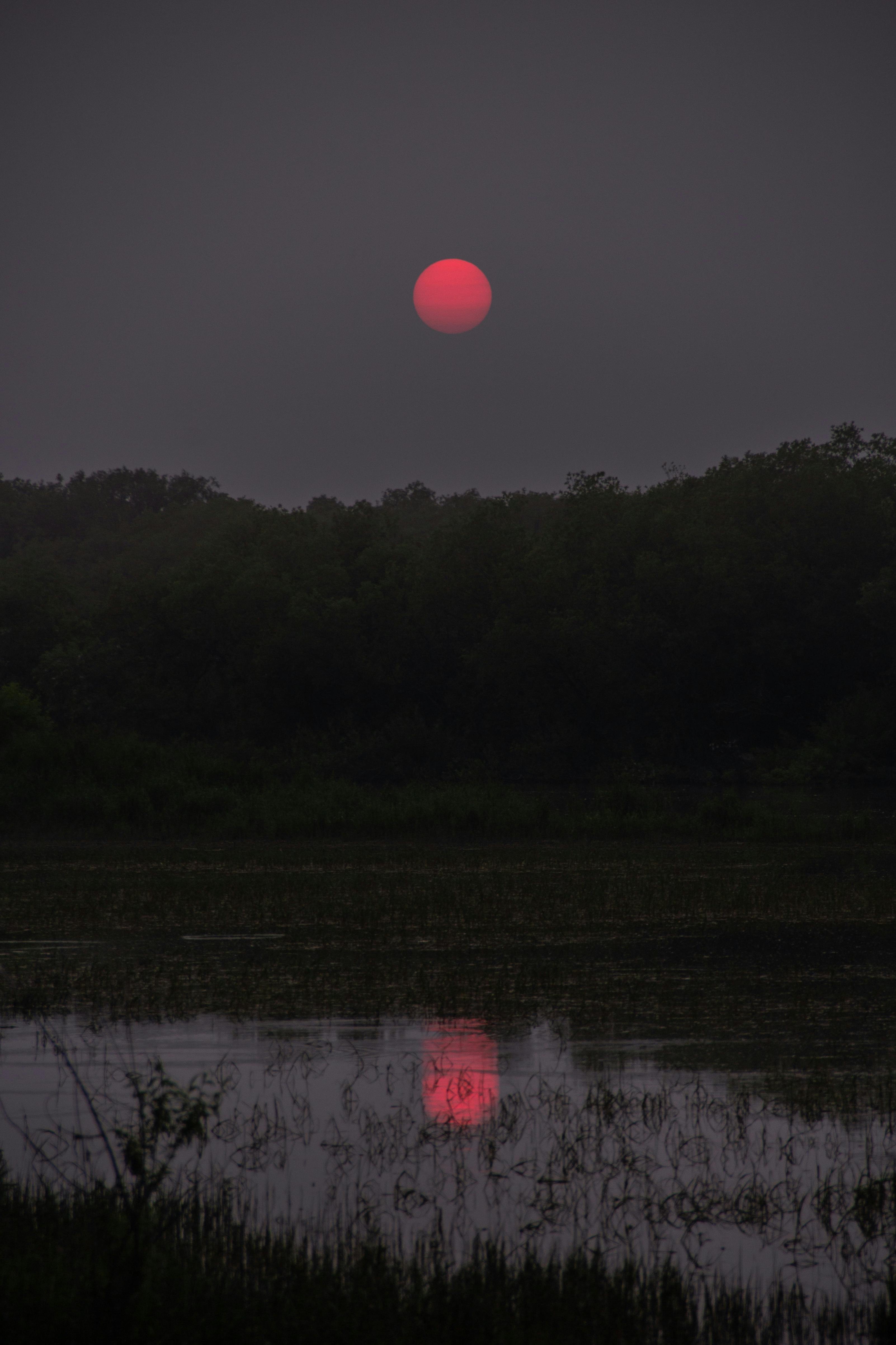 Red Moon Photos, Download The BEST Free Red Moon Stock Photos & HD Images