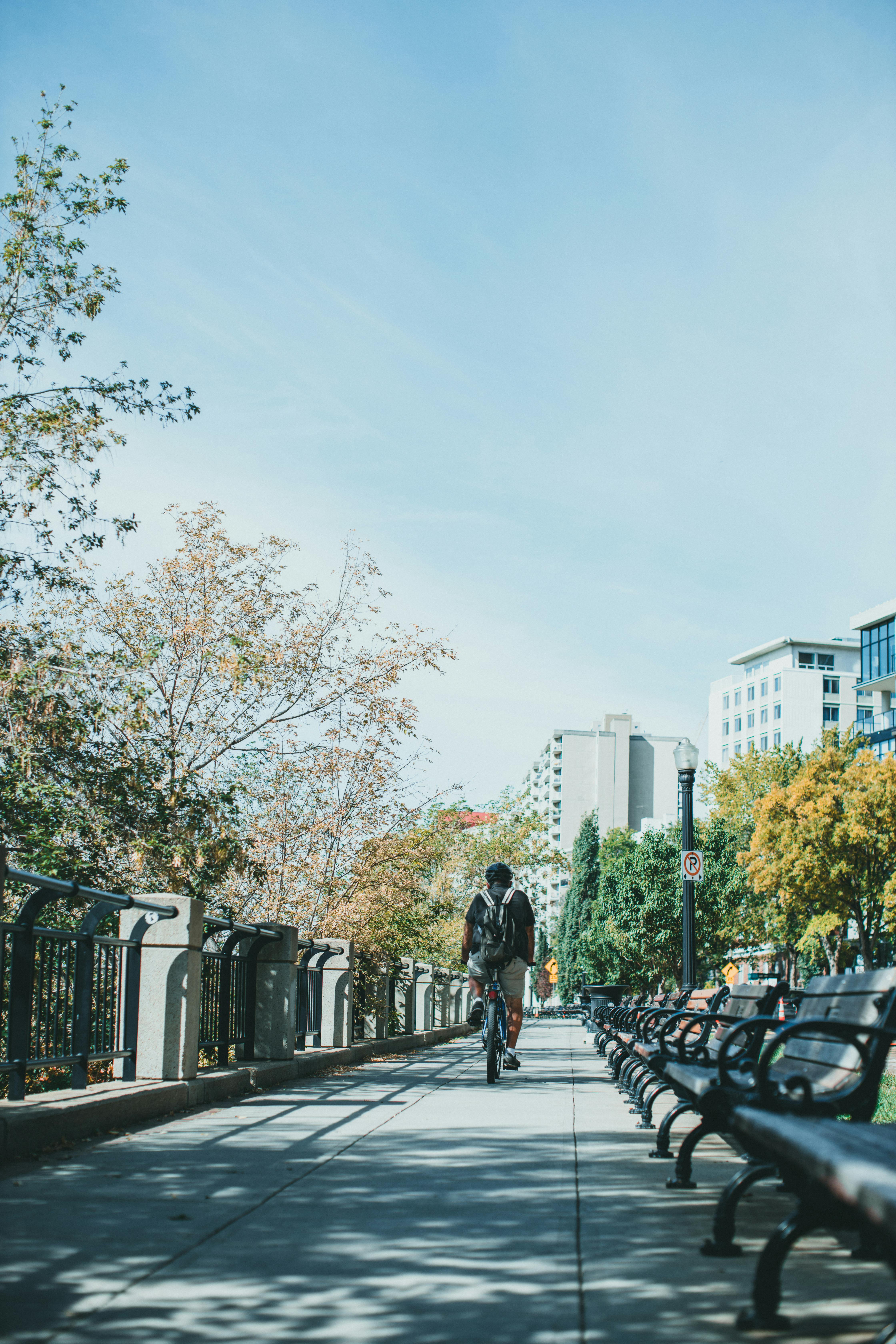 Benches Side View Photos, Download The BEST Free Benches Side View ...