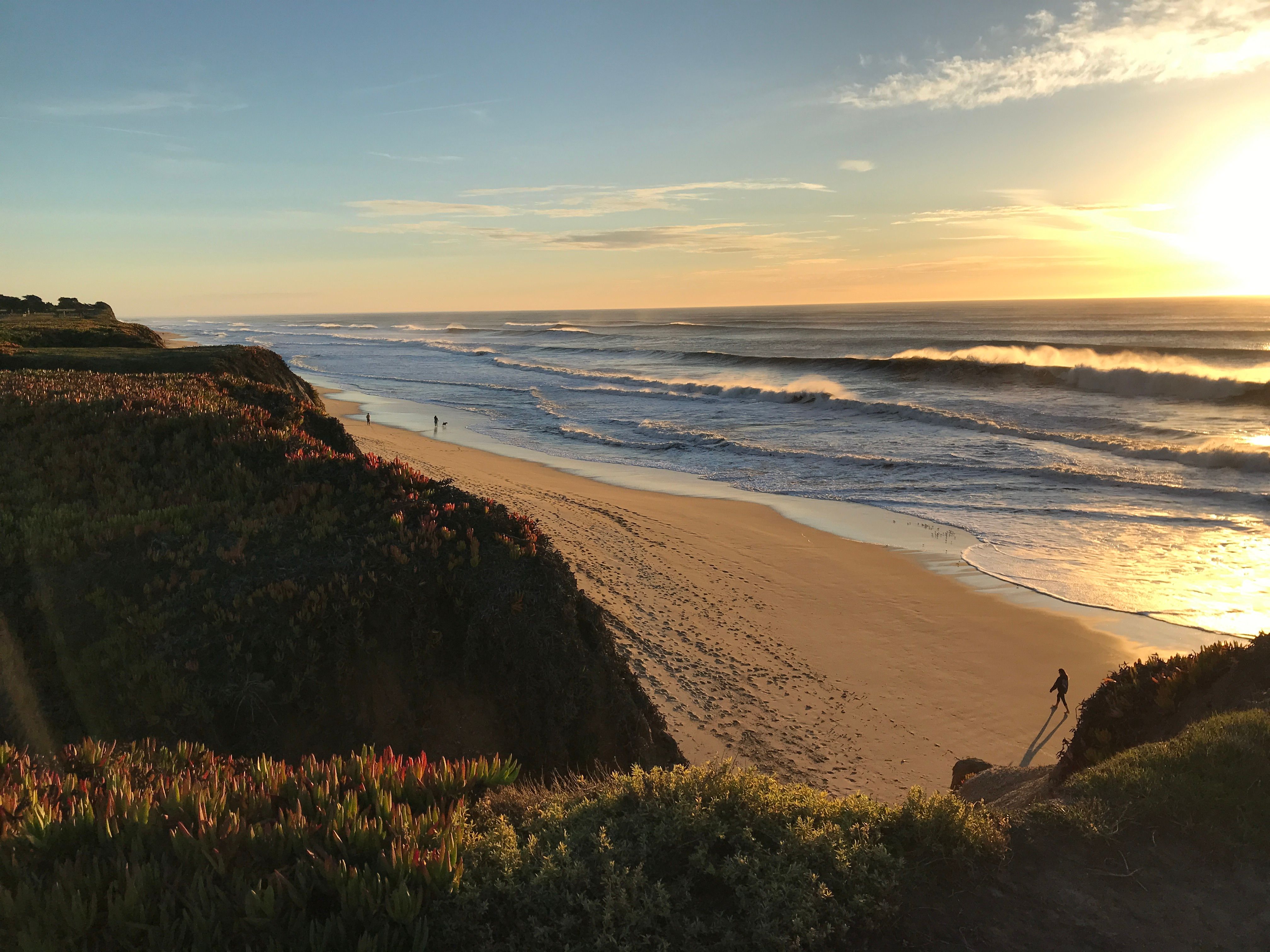 People Walking on Beach During Sunset · Free Stock Photo
