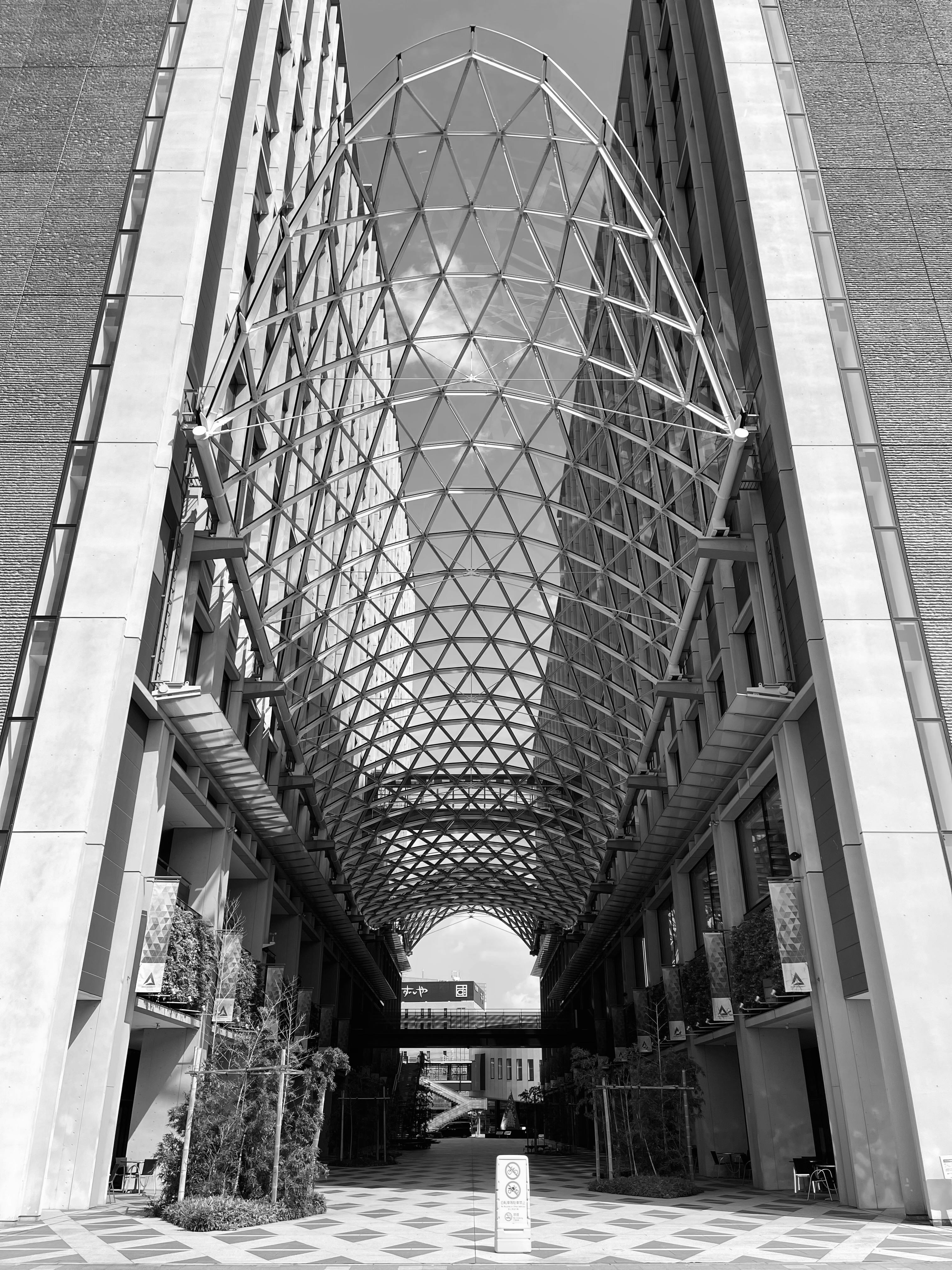 Japan Universities Photos, Download The BEST Free Japan Universities ...