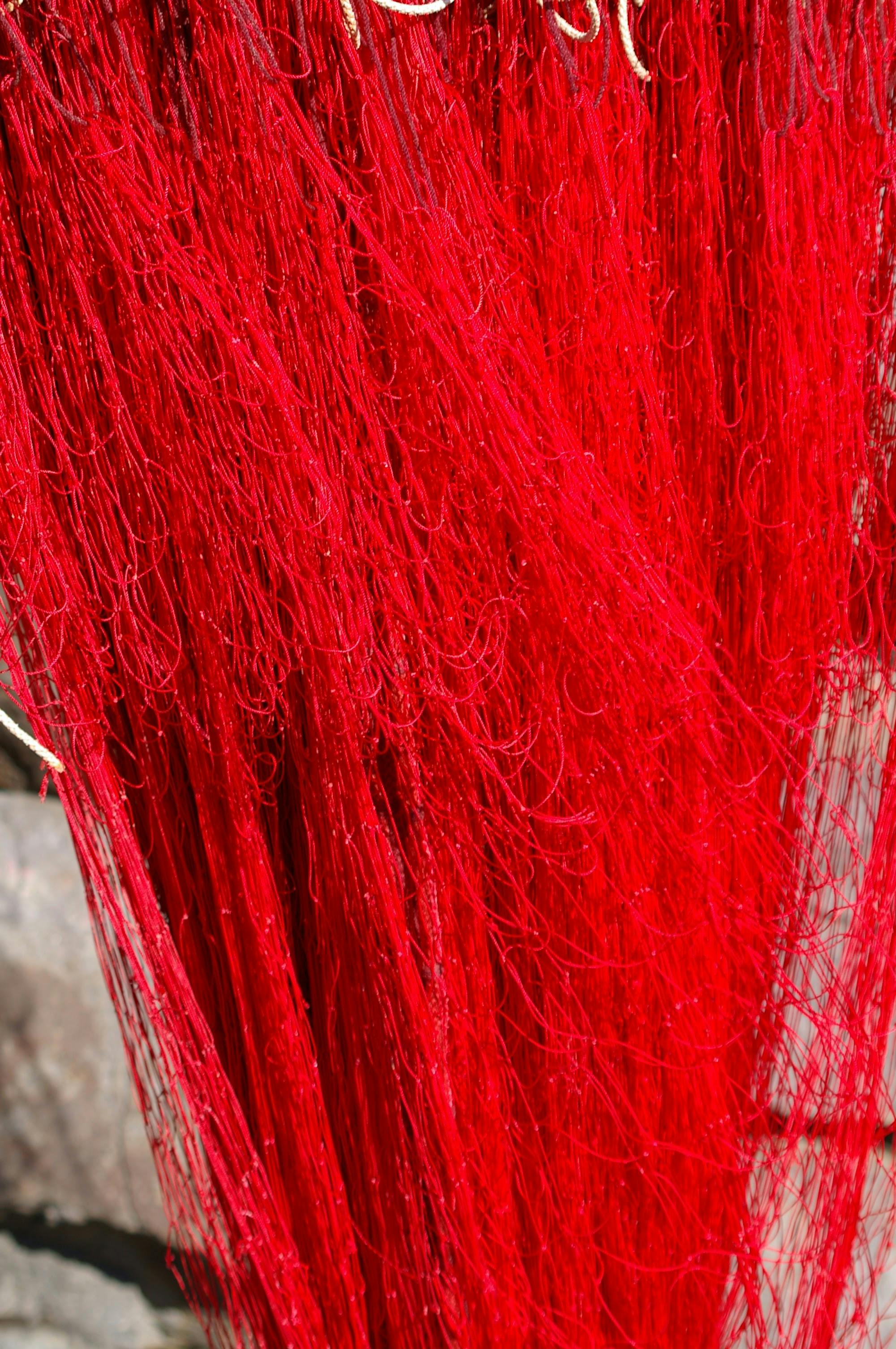 Kazuya Ohashi - 사진