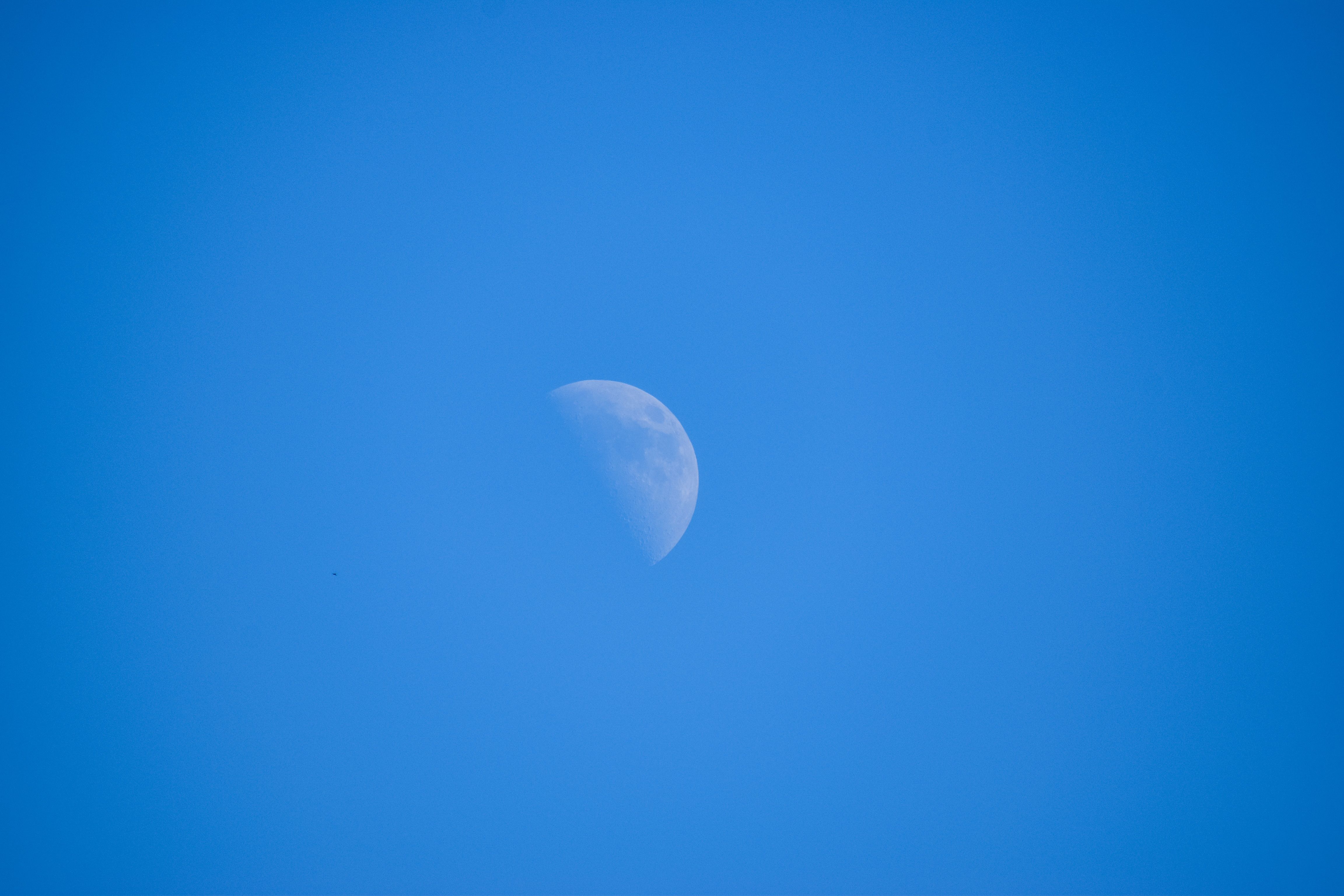 Half Moon in Blue Sky · Free Stock Photo
