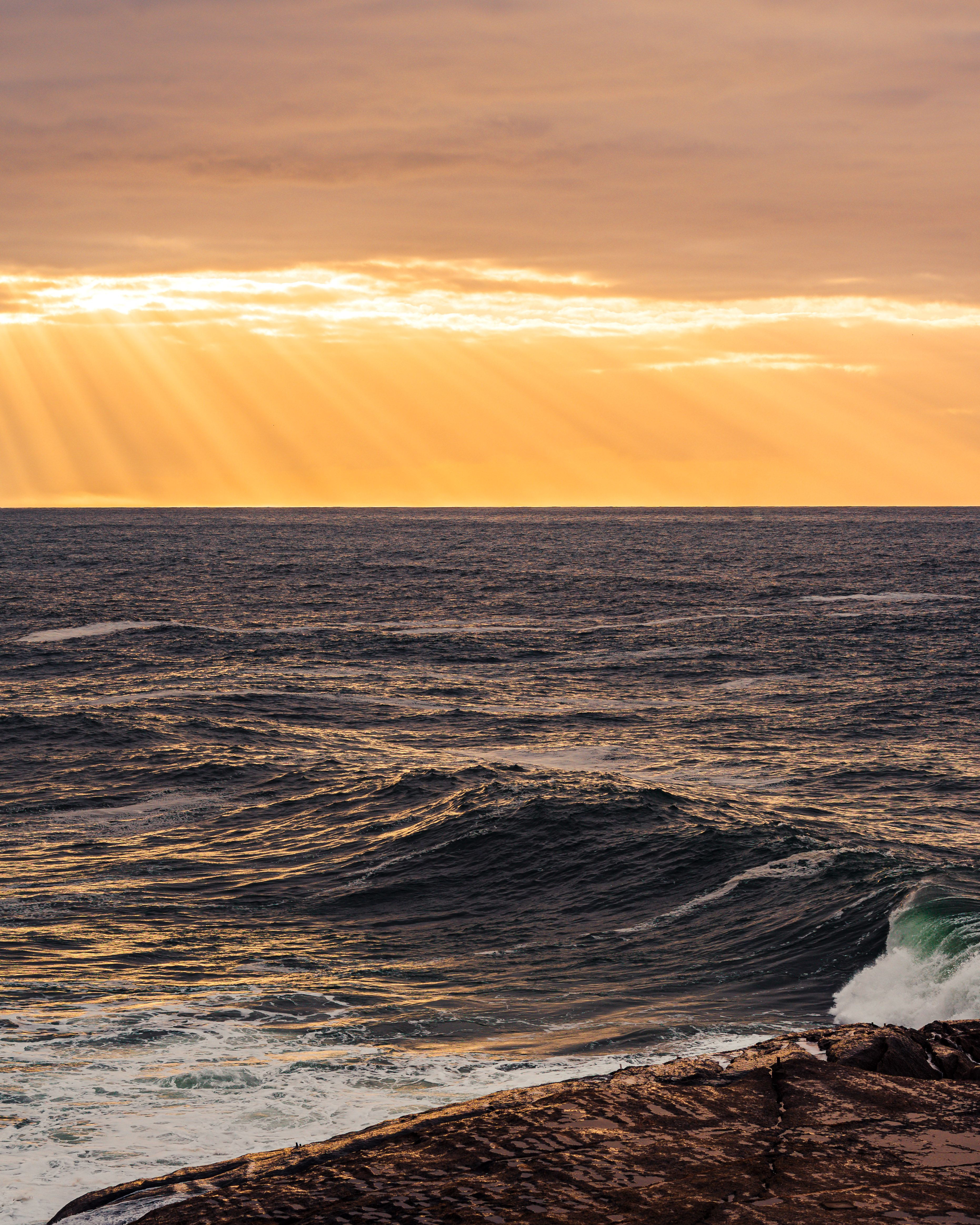 Sunlight on Sea · Free Stock Photo