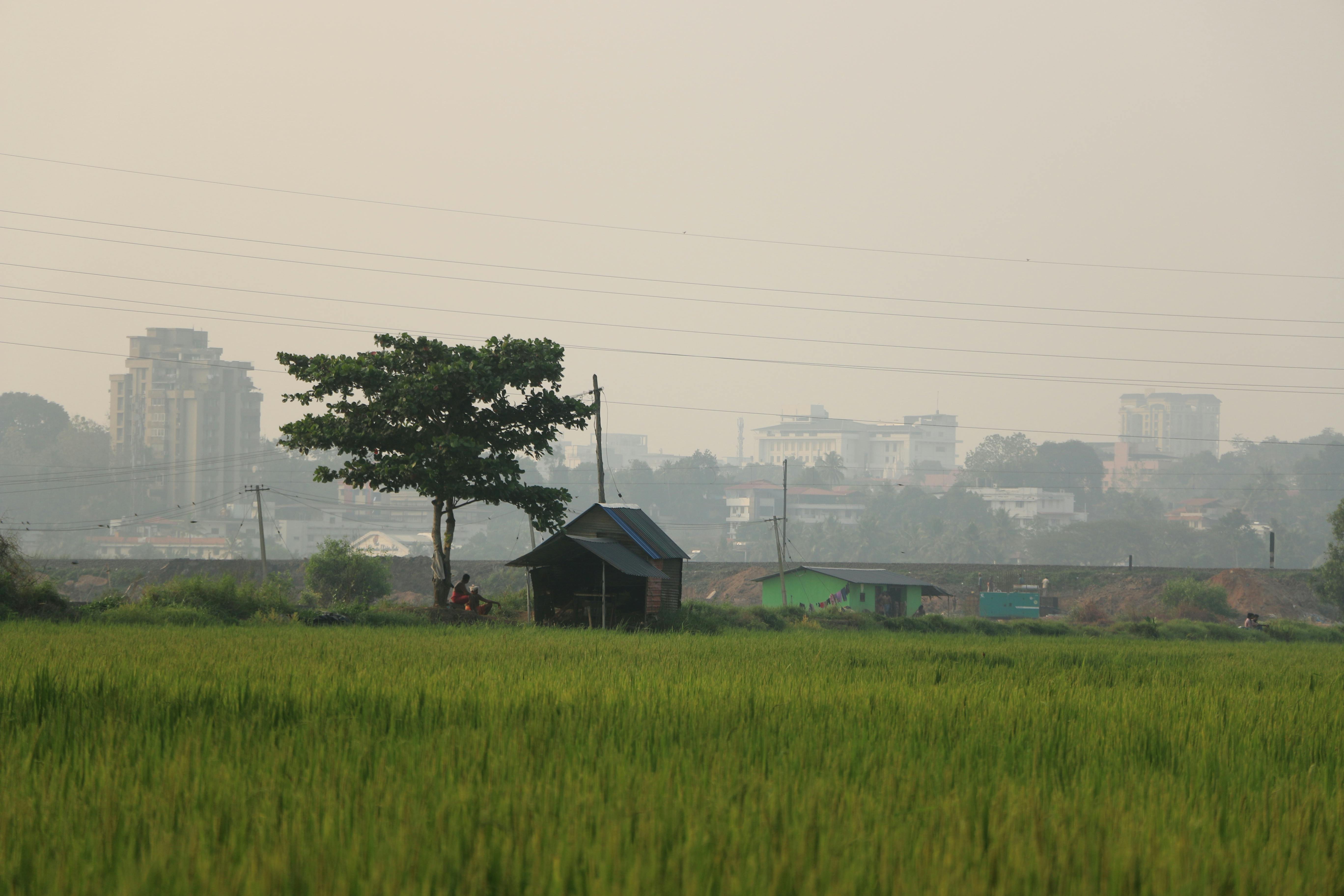 Mathew Kurian - Photography