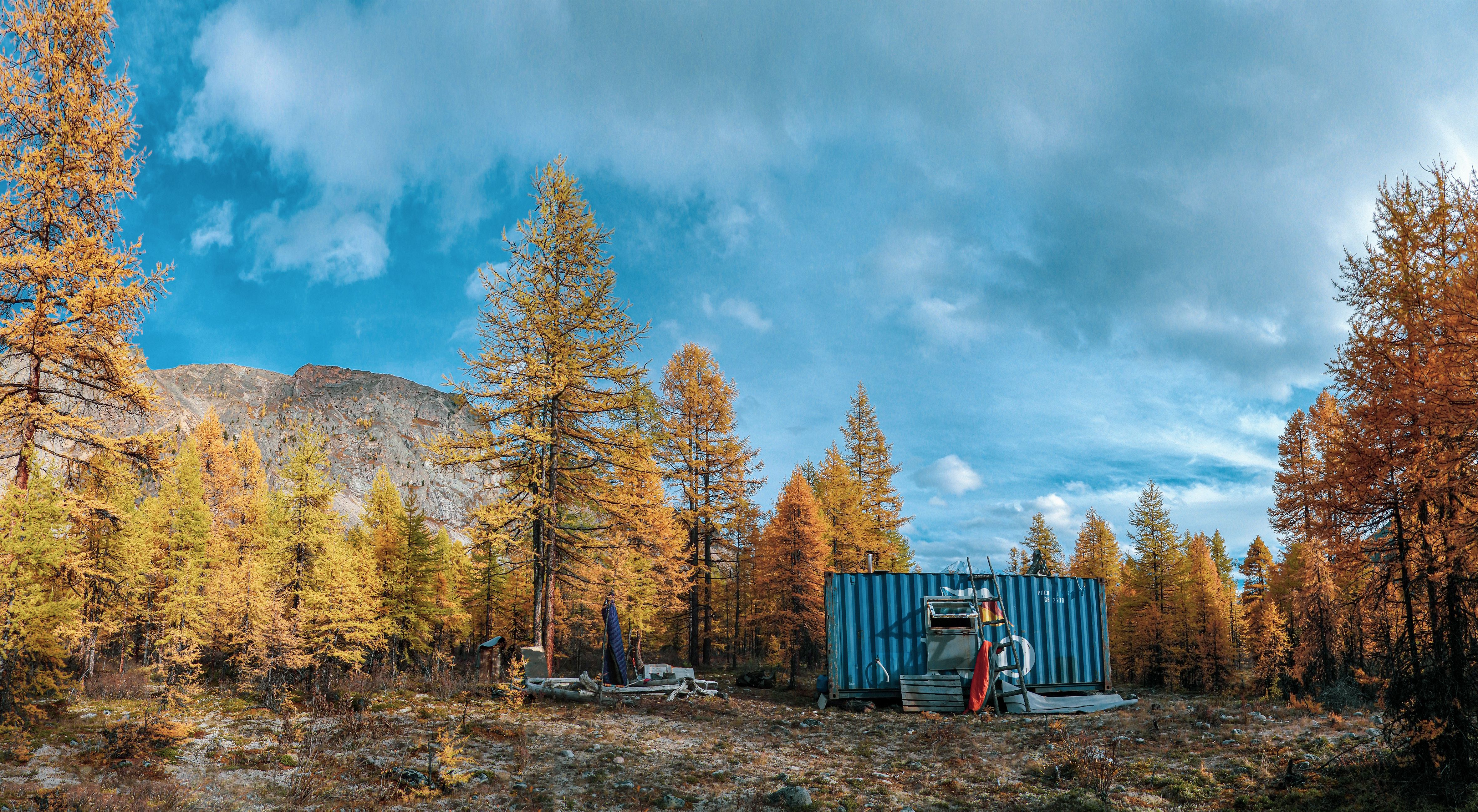Cargo Container in the Forest · Free Stock Photo