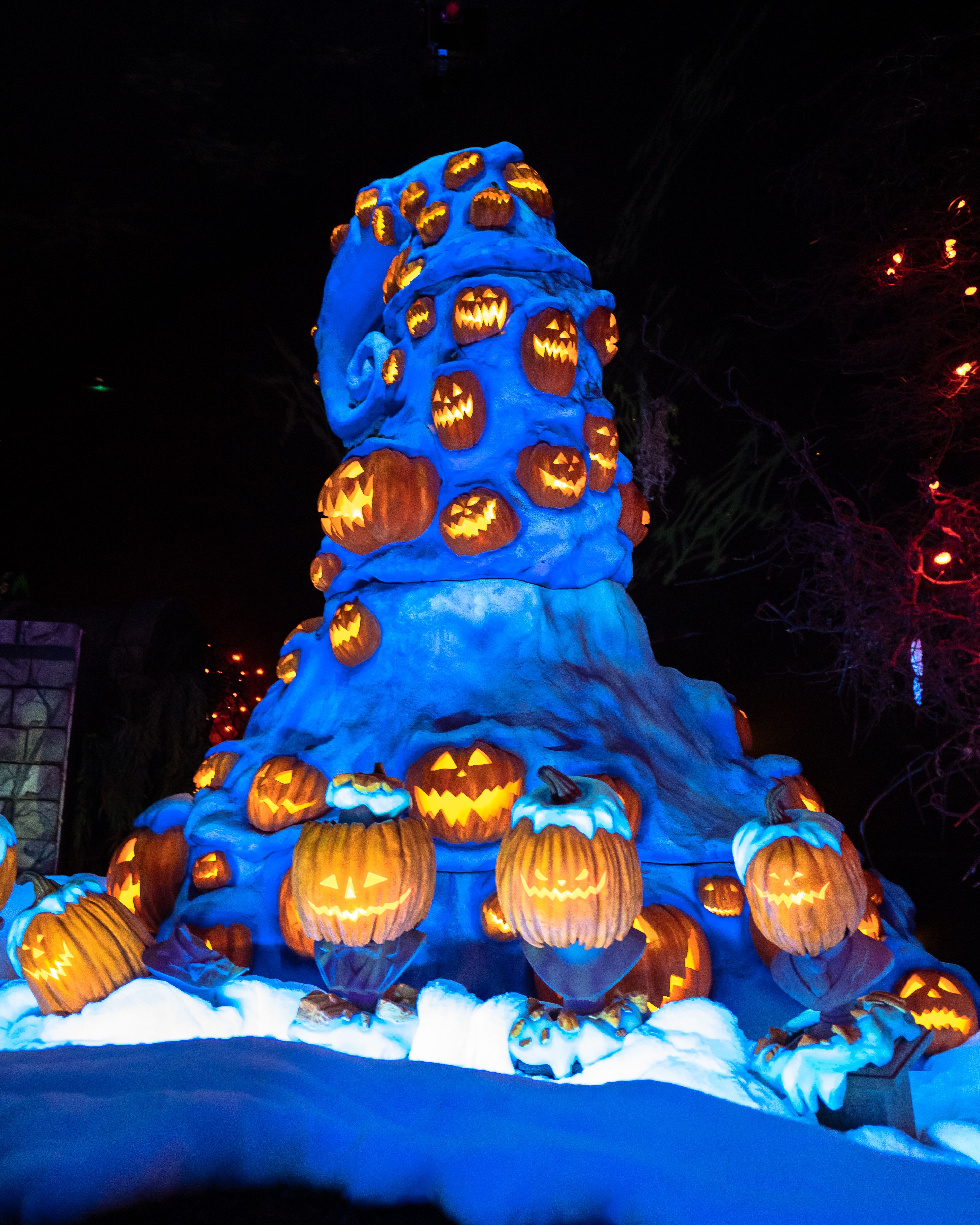 Halloween Pumpkins on Snow · Free Stock Photo