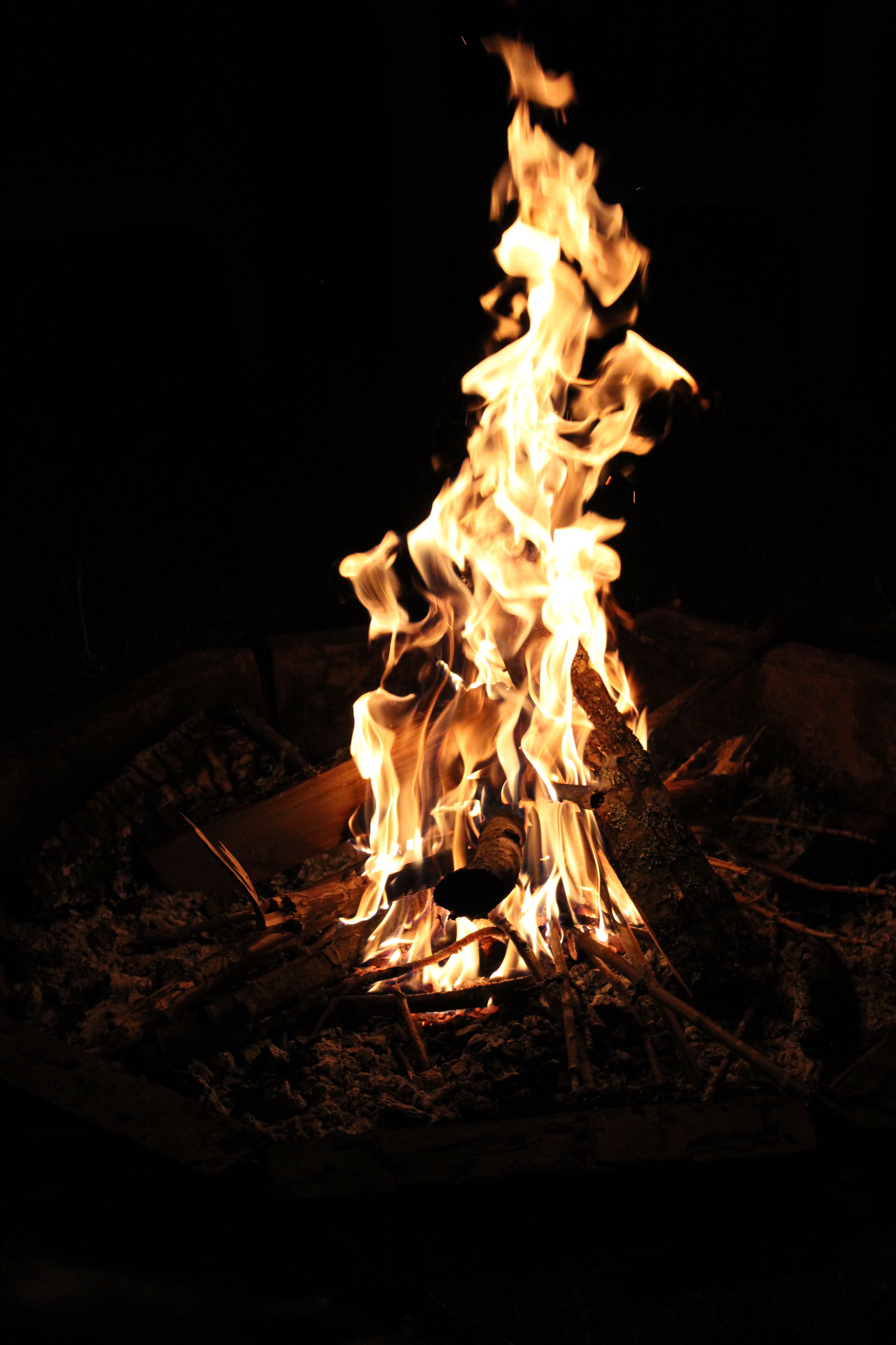 Photograph of a Campfire · Free Stock Photo