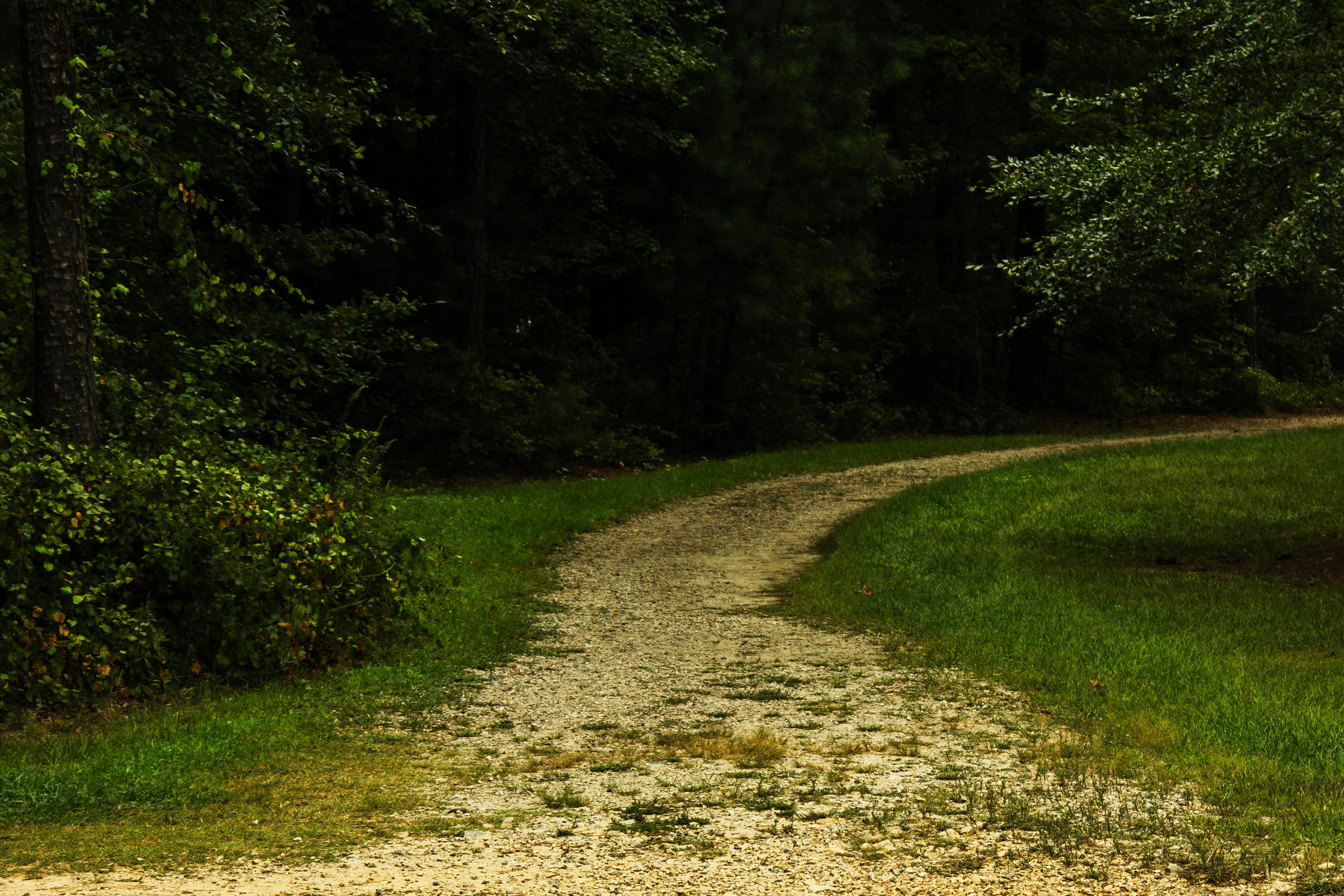 Pathway on Grass Field · Free Stock Photo