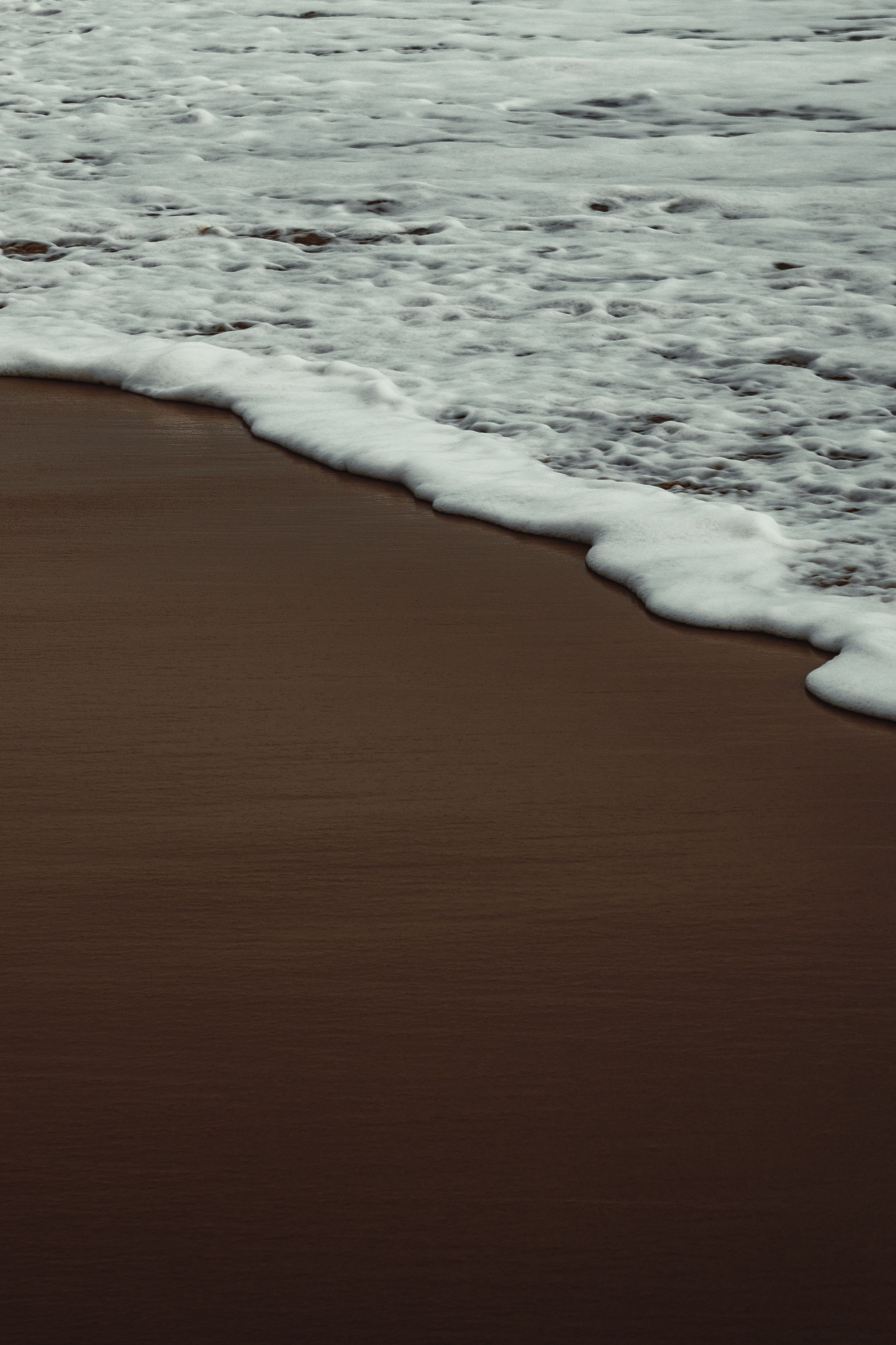 Ocean Waves Near Trees · Free Stock Photo