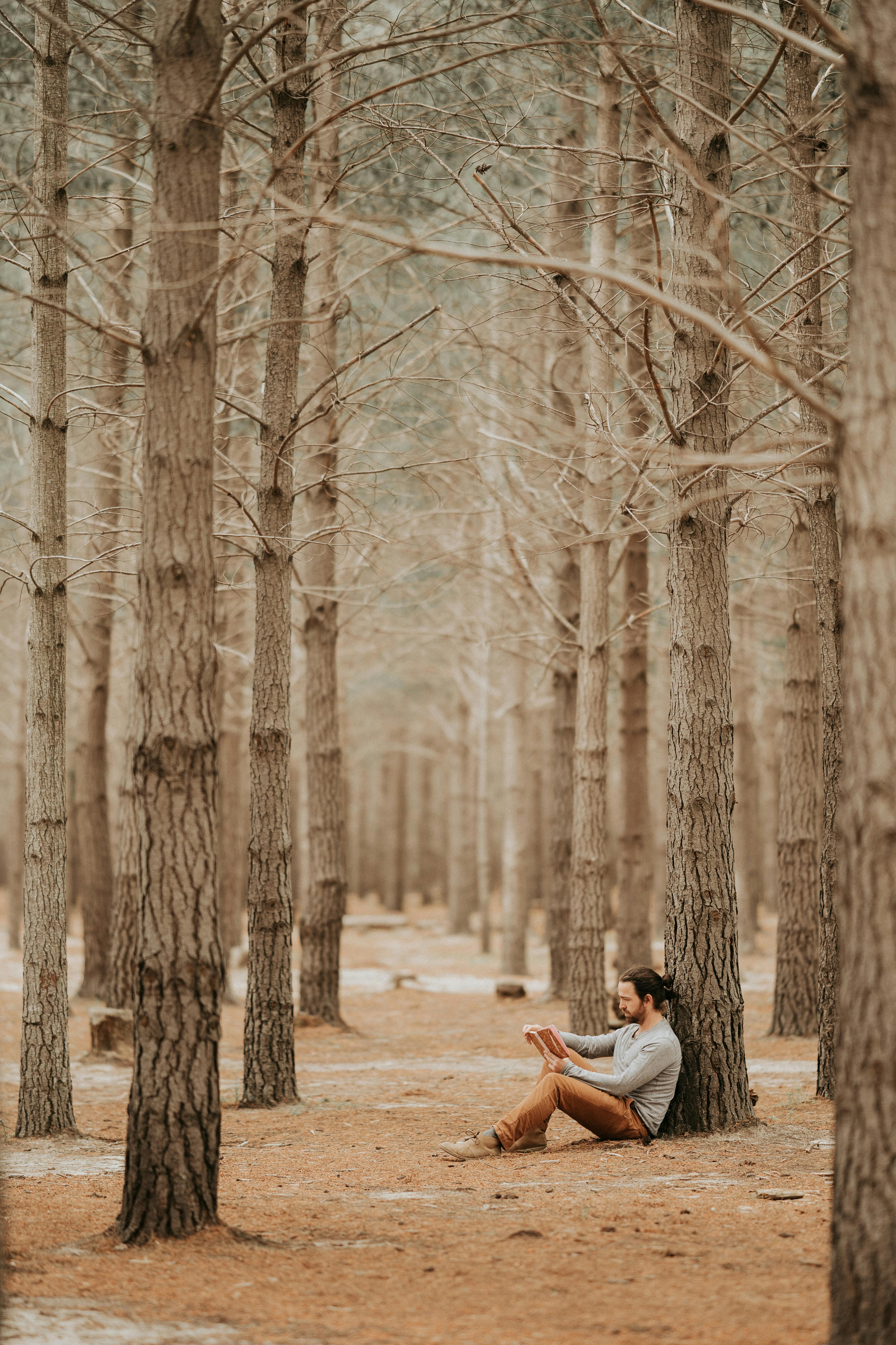 Adult man sitting by tree in forest · Free Stock Photo