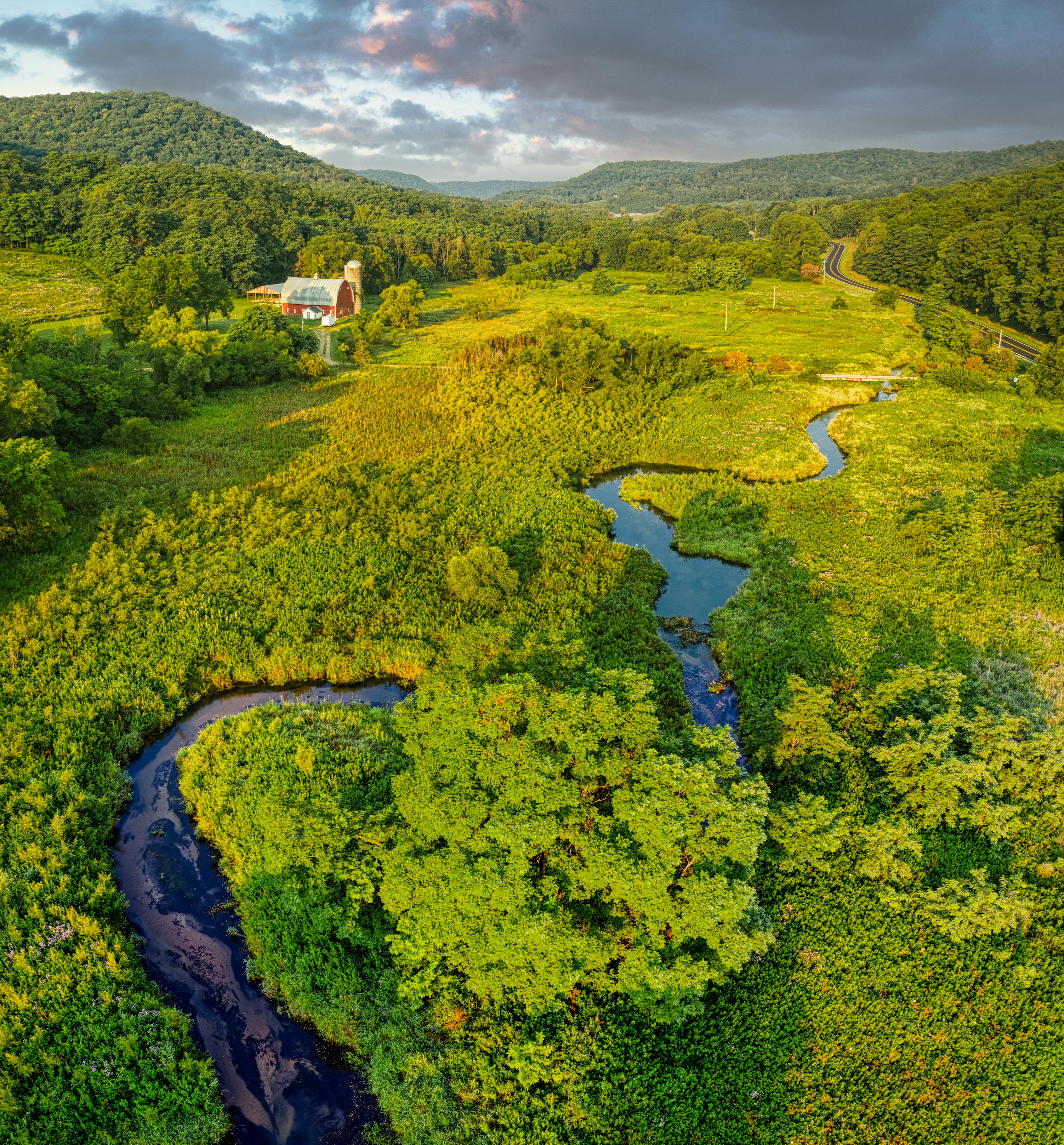 Green Trees and River in Aerial Photography · Free Stock Photo