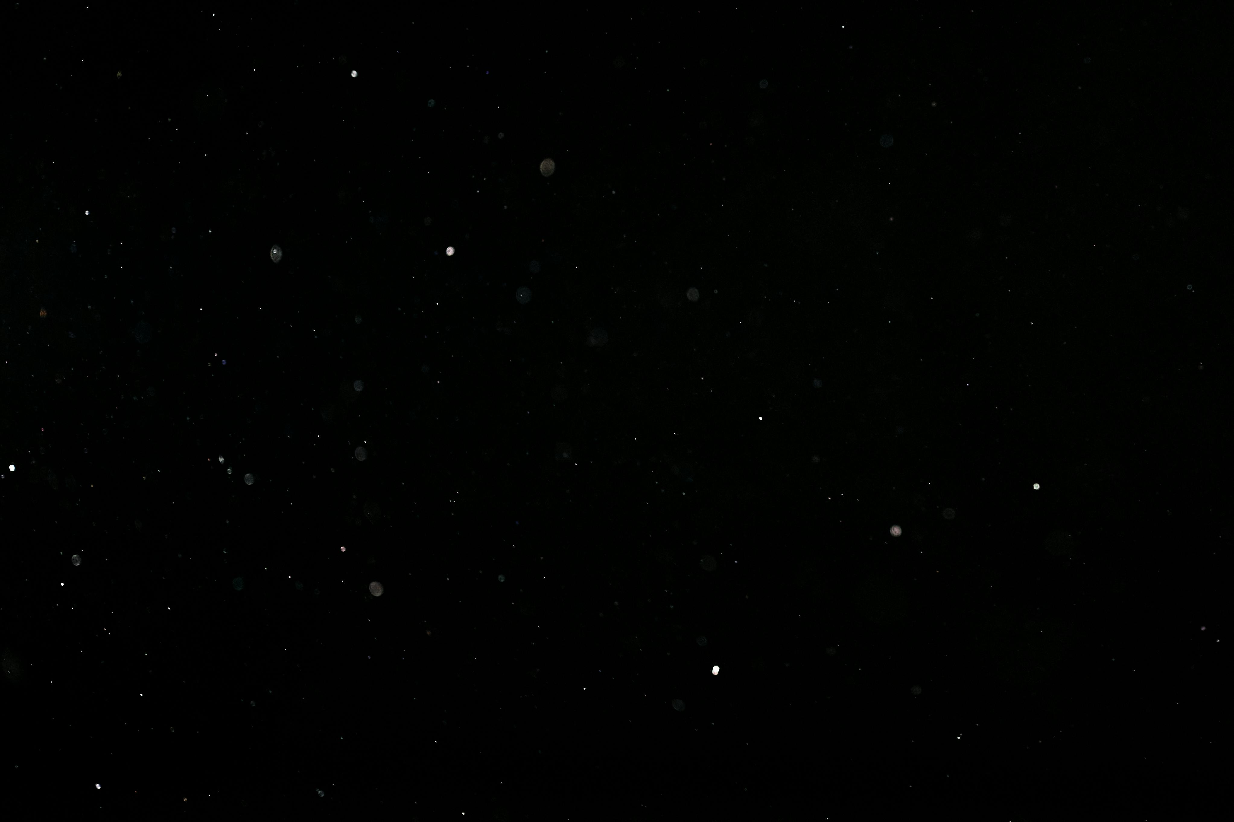 White Dust Particles on Black Background · Free Stock Photo