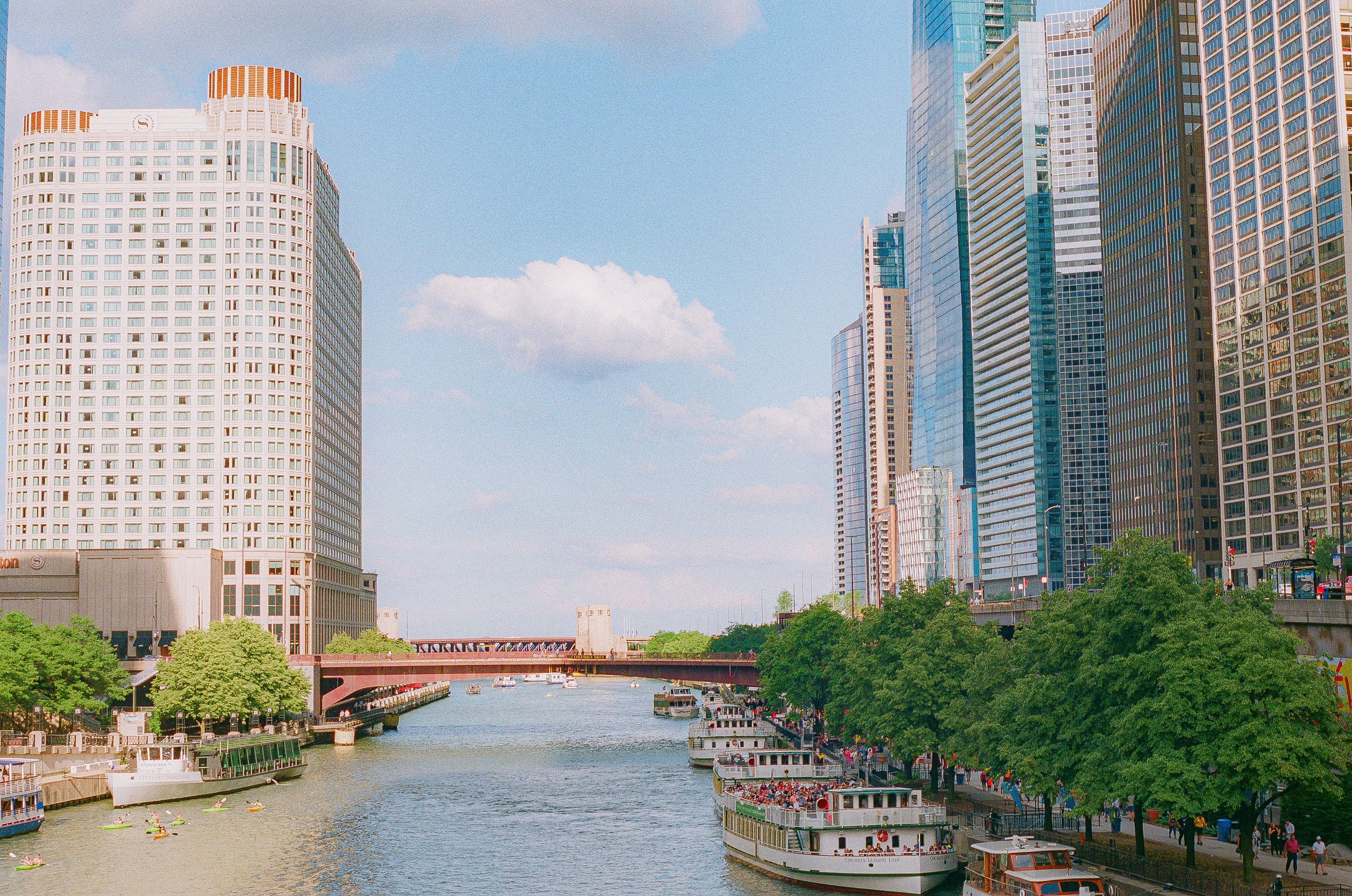 Chicago Downtown, United States · Free Stock Photo