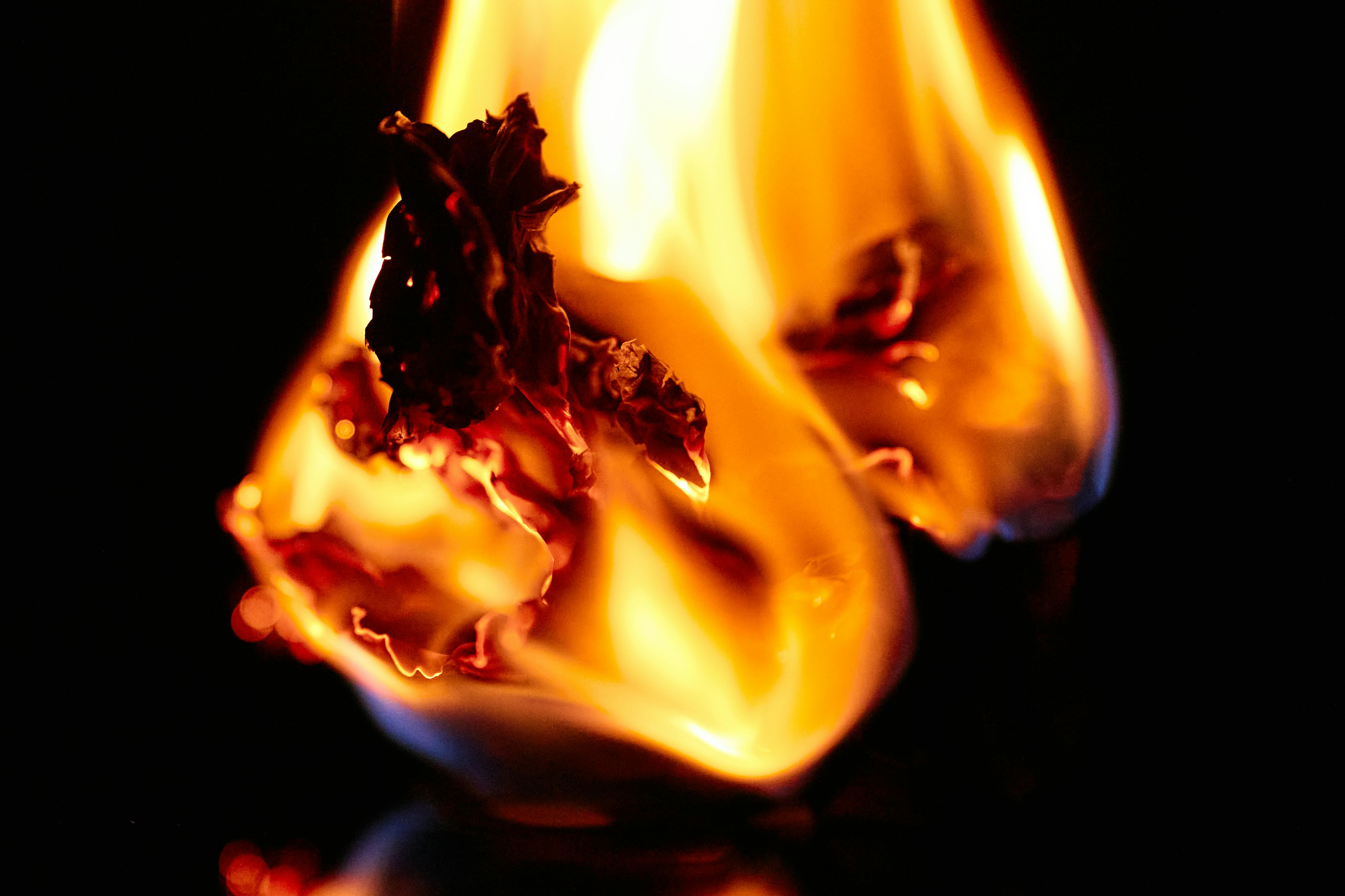 Burning Lion Wallpaper Photos, Download The BEST Free Burning Lion ...