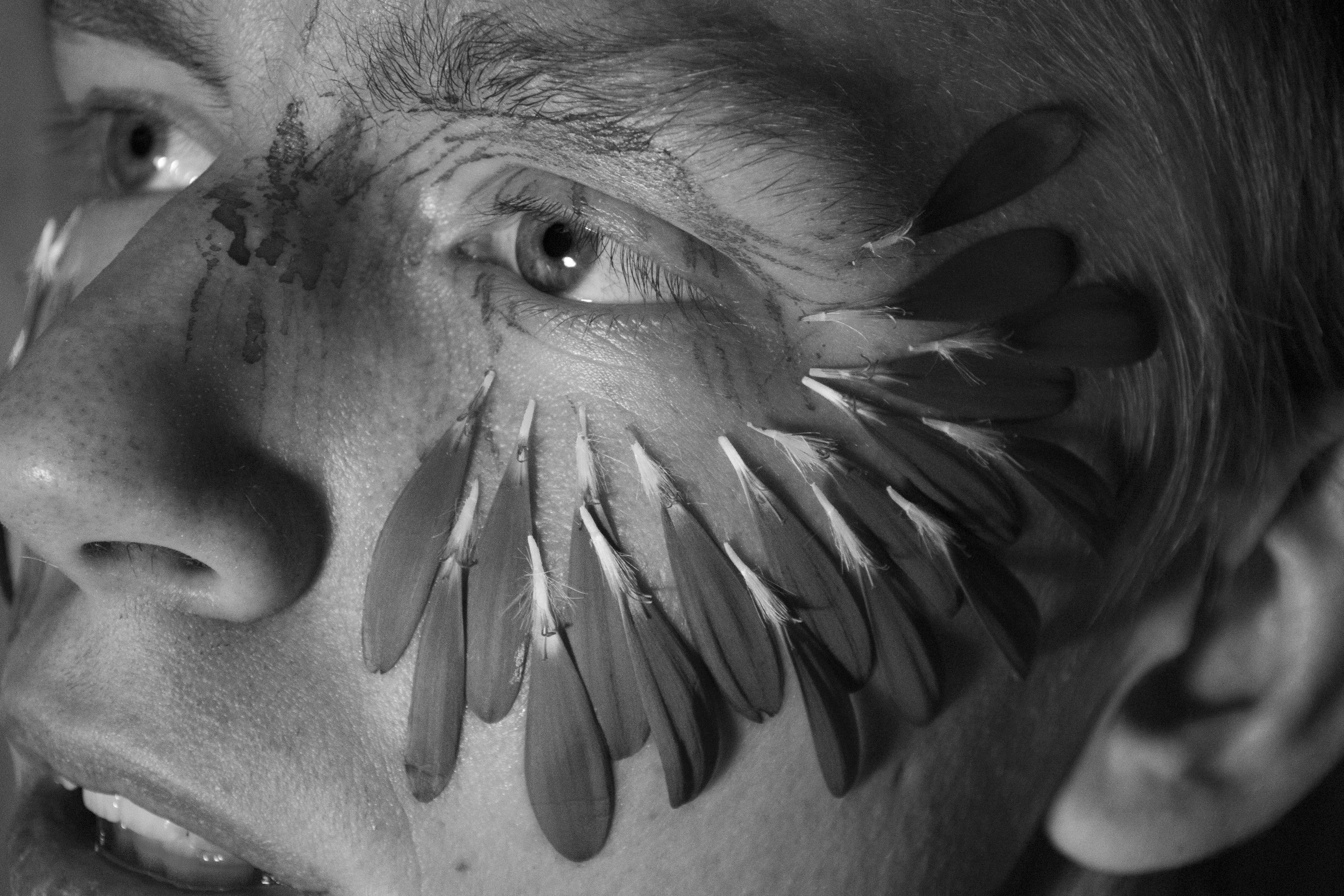 Man with Feathers on Face · Free Stock Photo