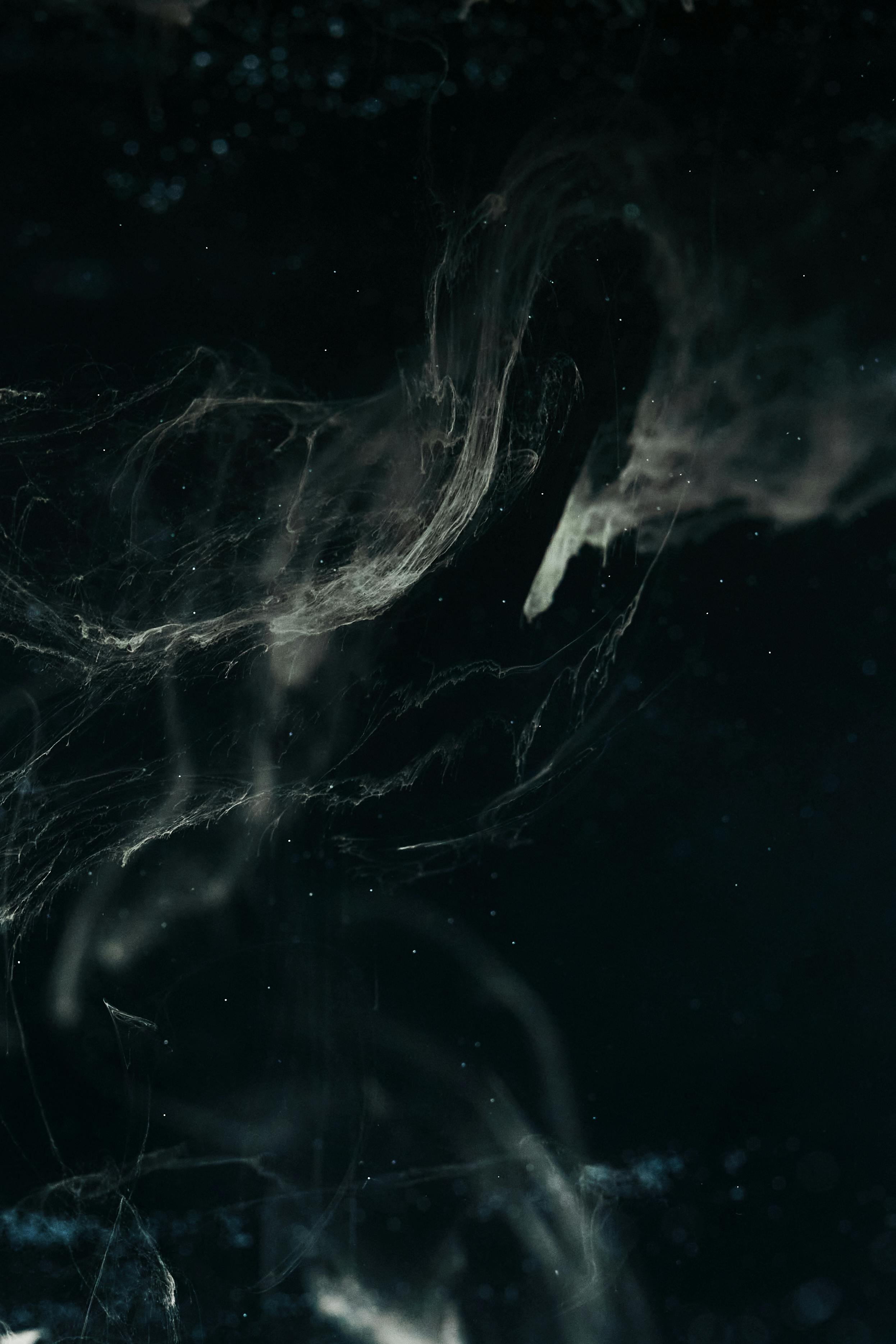 High-Speed Photography of Colorful Ink Diffusion in Water · Free Stock ...