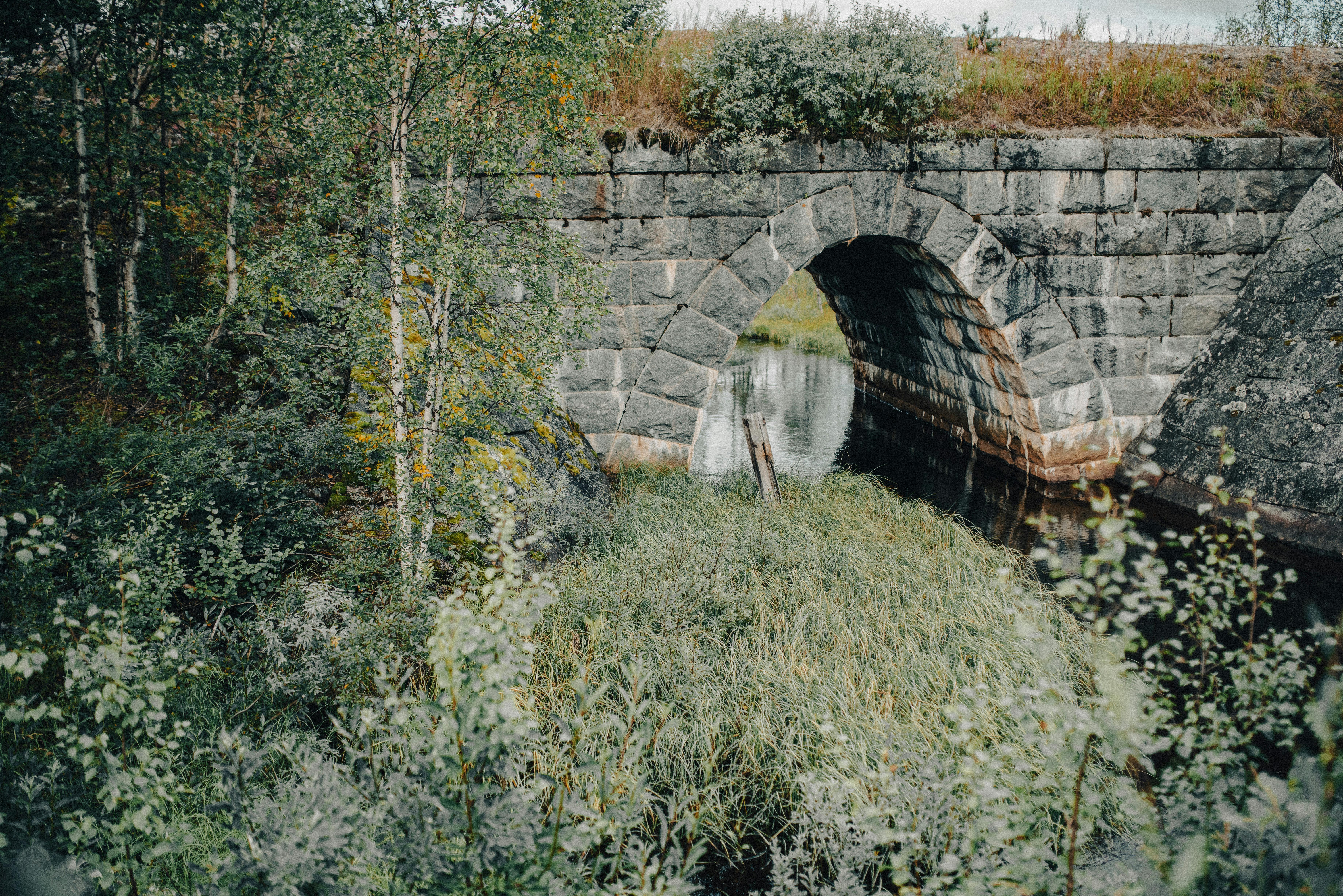 Old Rock Bridge · Free Stock Photo