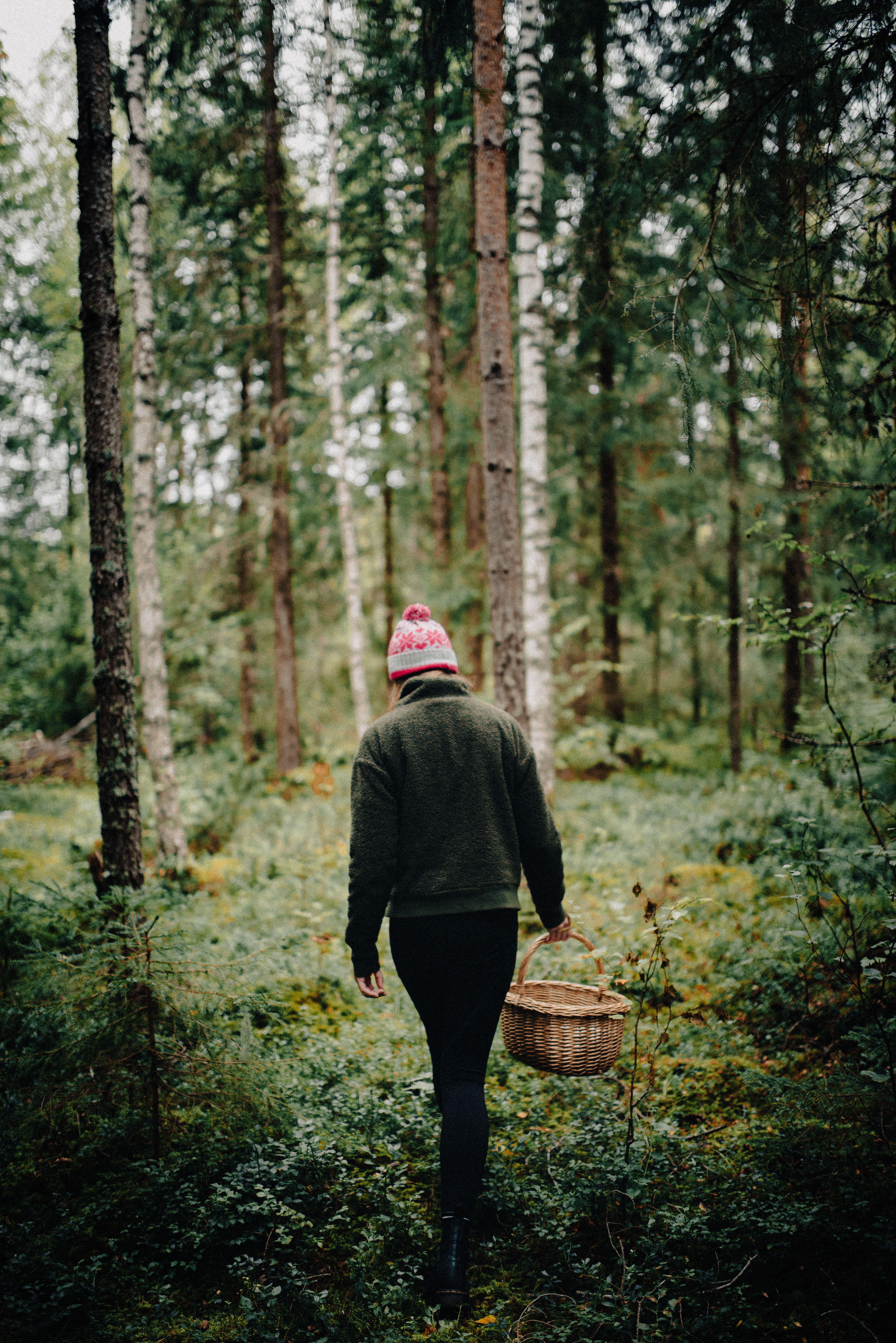 Person Carrying a Woven Basket · Free Stock Photo