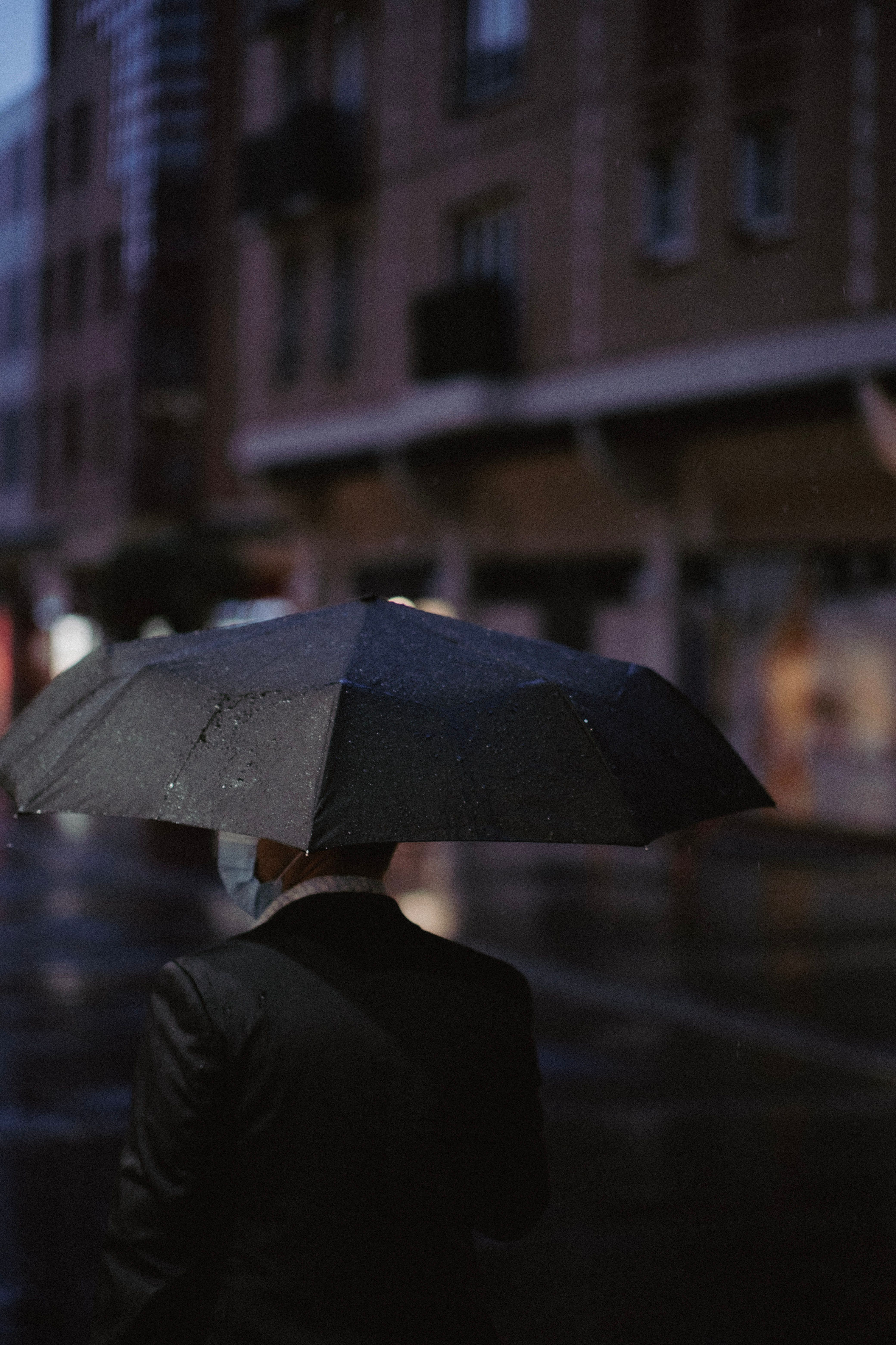 Photo Of Person Holding An Umbrella · Free Stock Photo