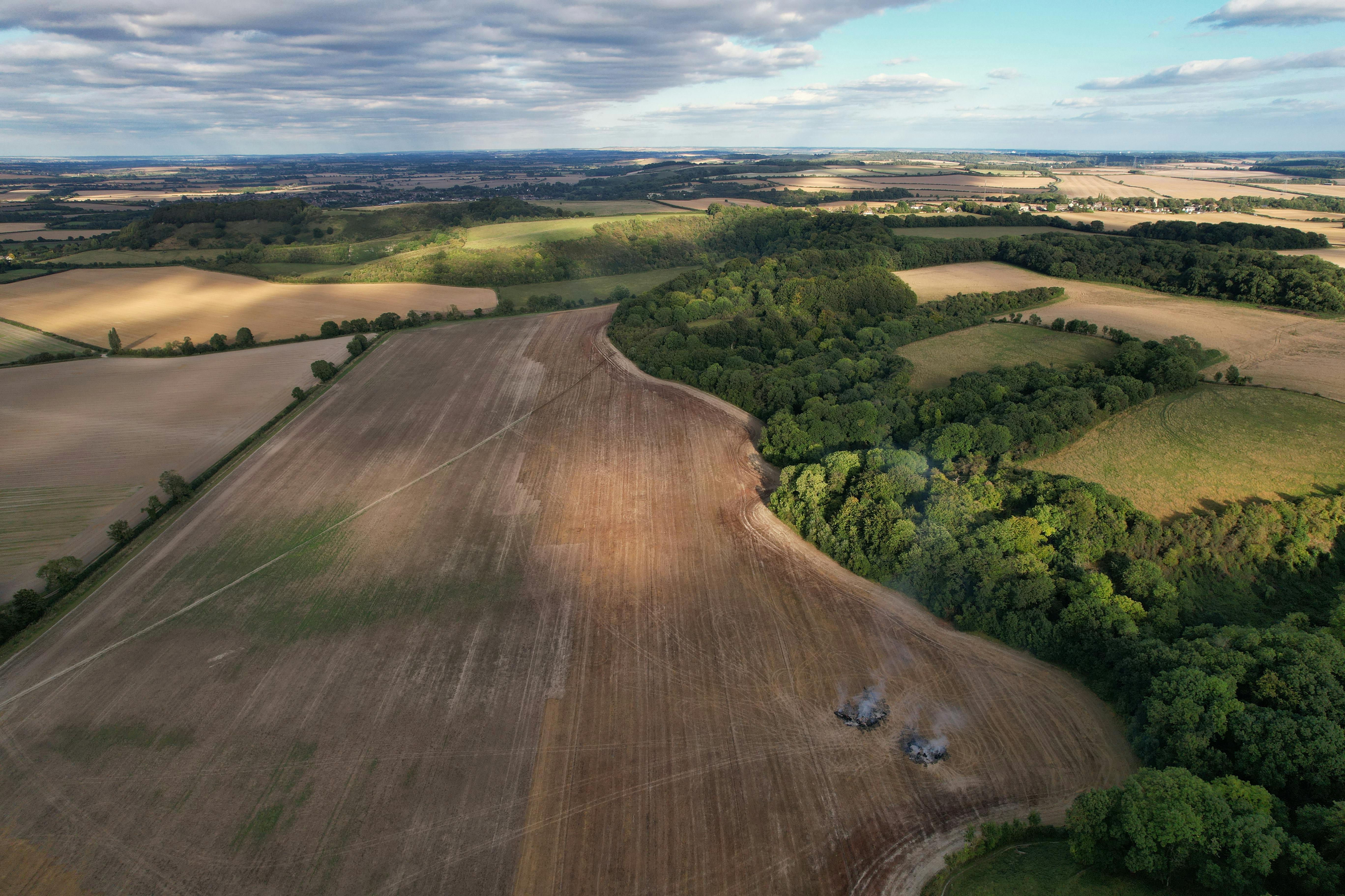 Aerial Photo of a Field · Free Stock Photo