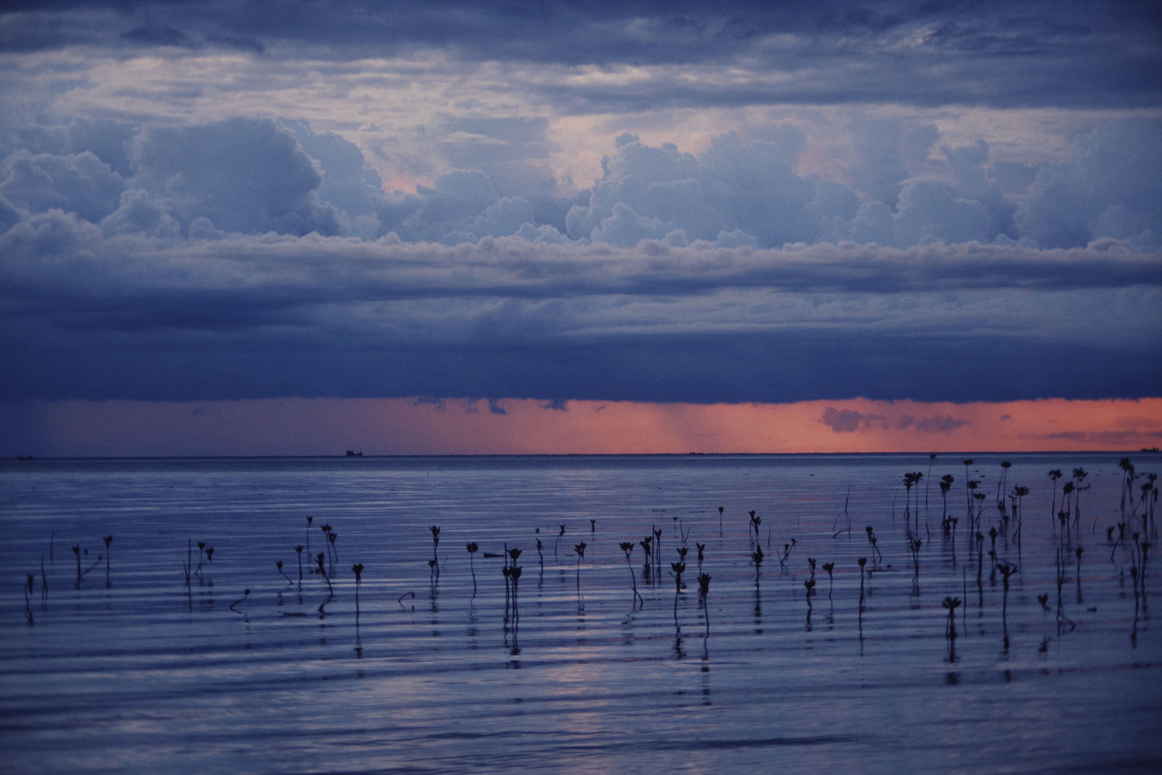 Peace By The Ocean Wallpaper Photos, Download The BEST Free Peace By ...