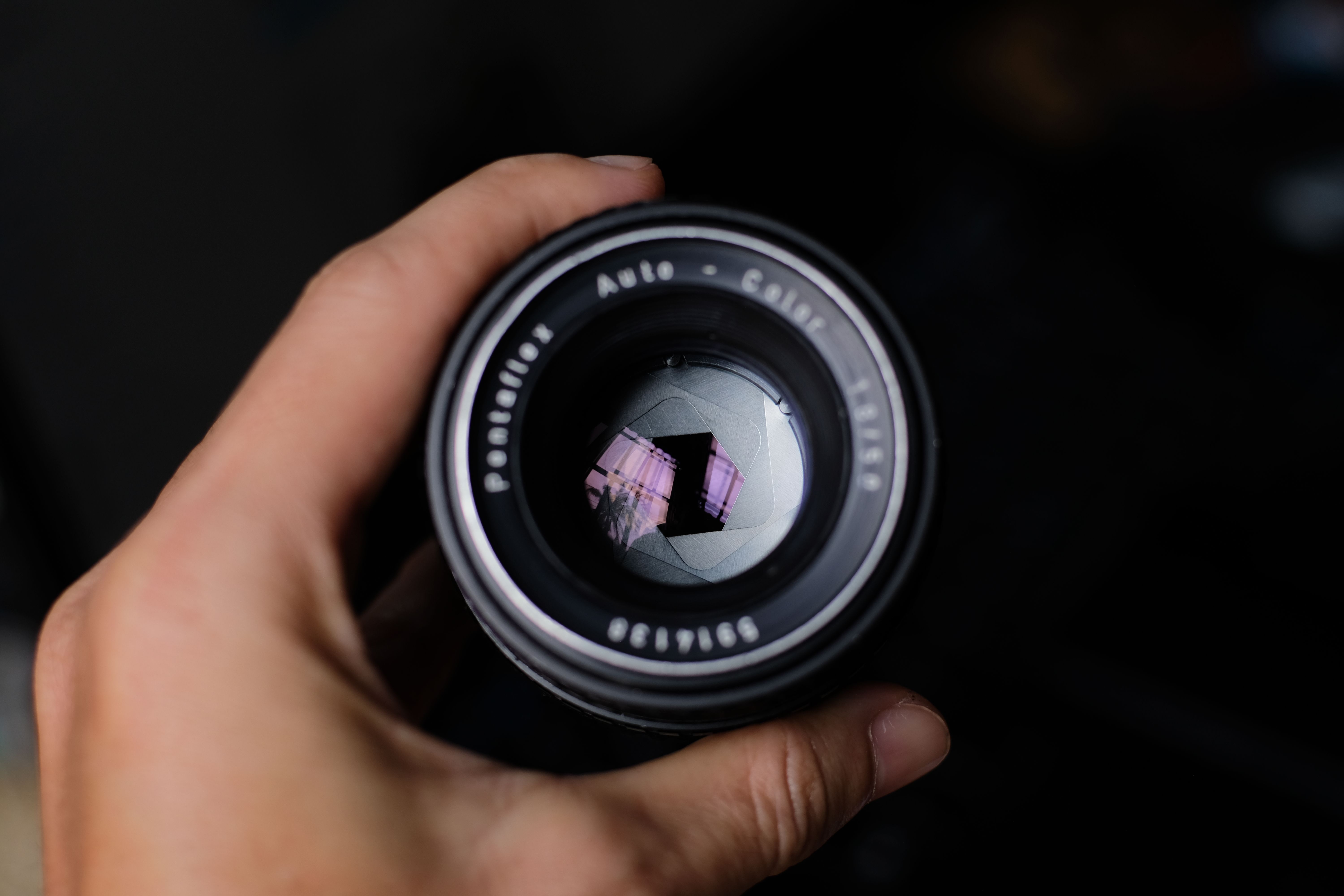 Hands Holding Camera · Free Stock Photo