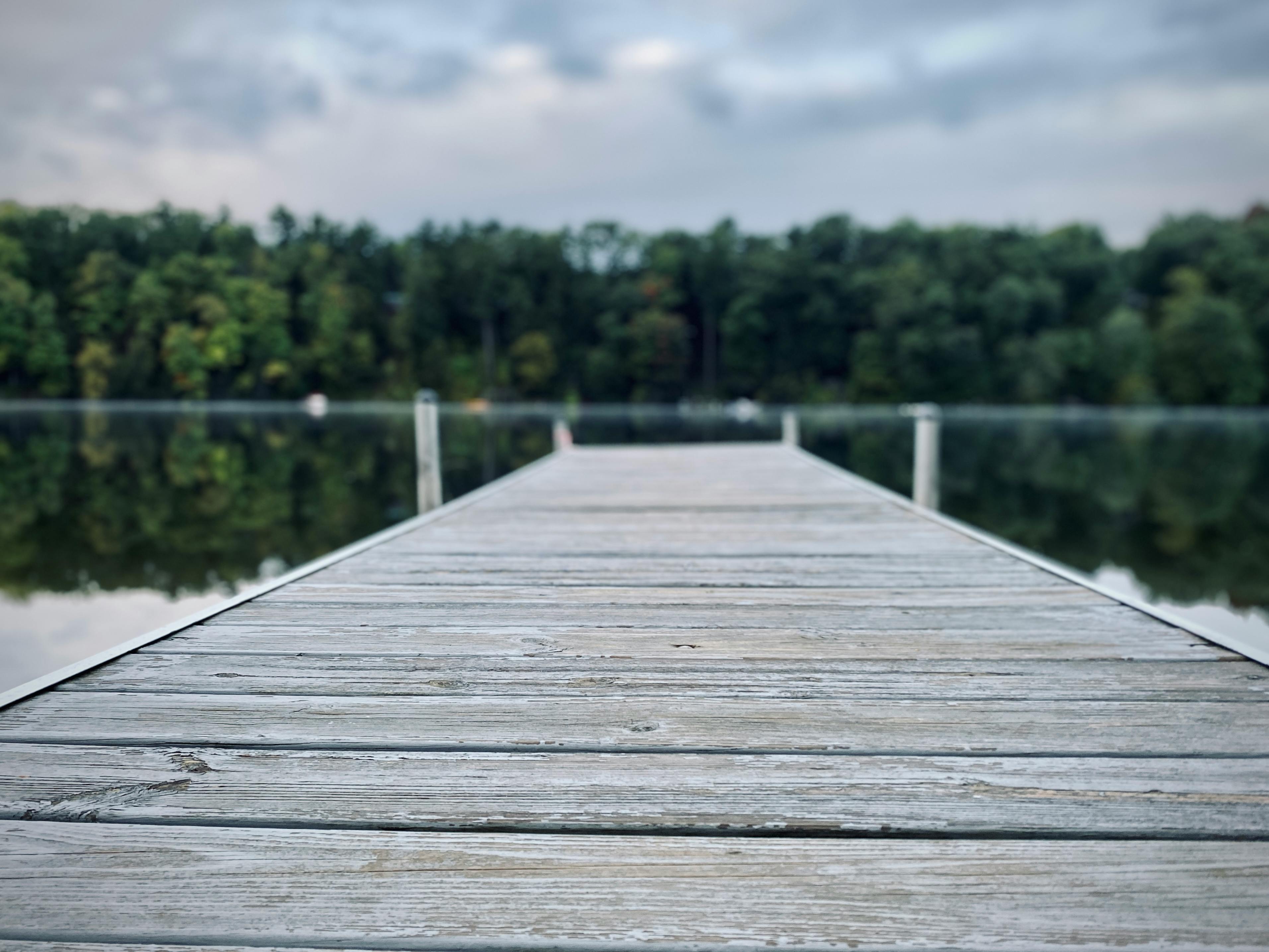 A Boardwalk over the Lake · Free Stock Photo