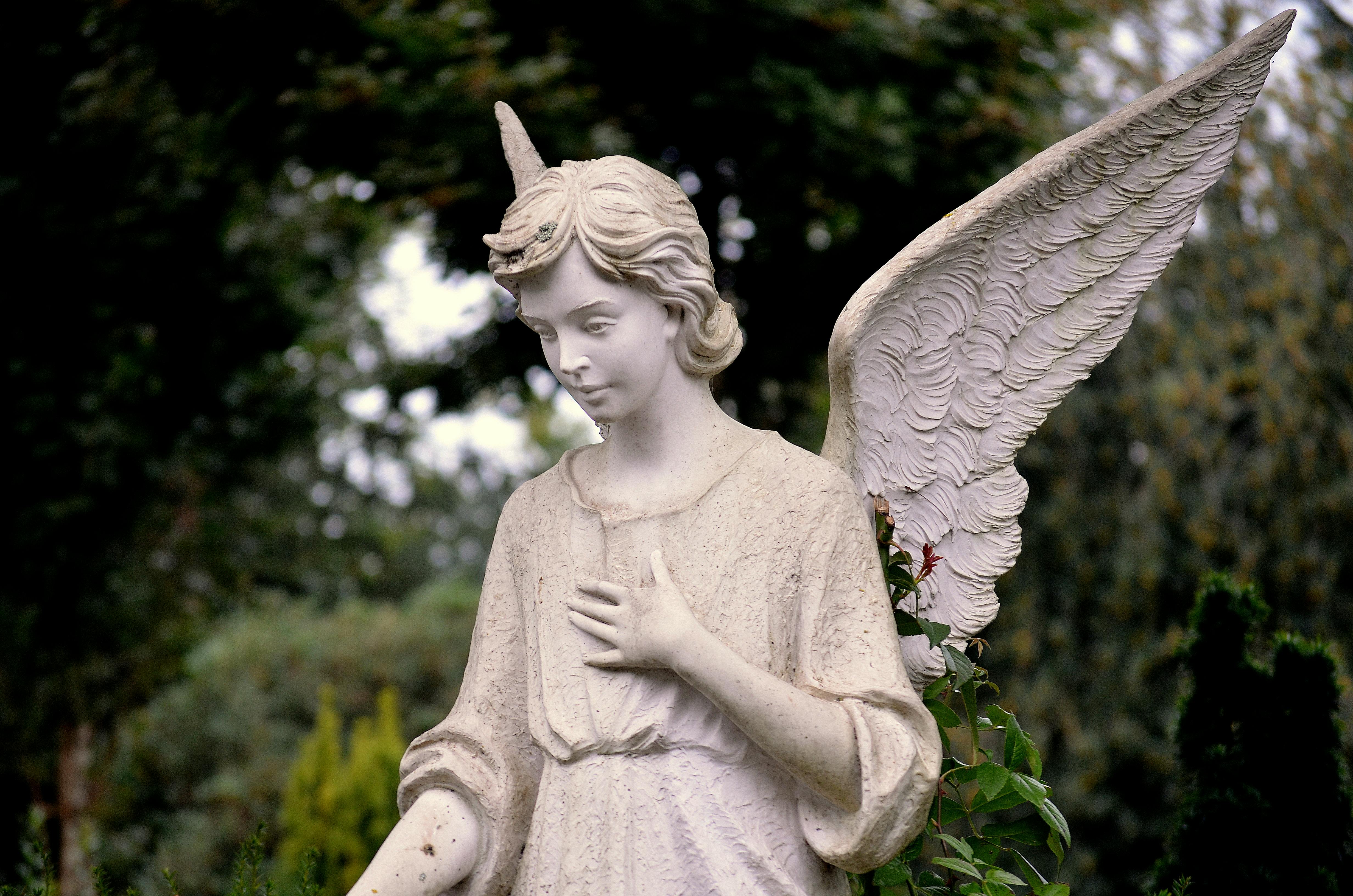 A Statue of an Angel in Close-up Photography · Free Stock Photo