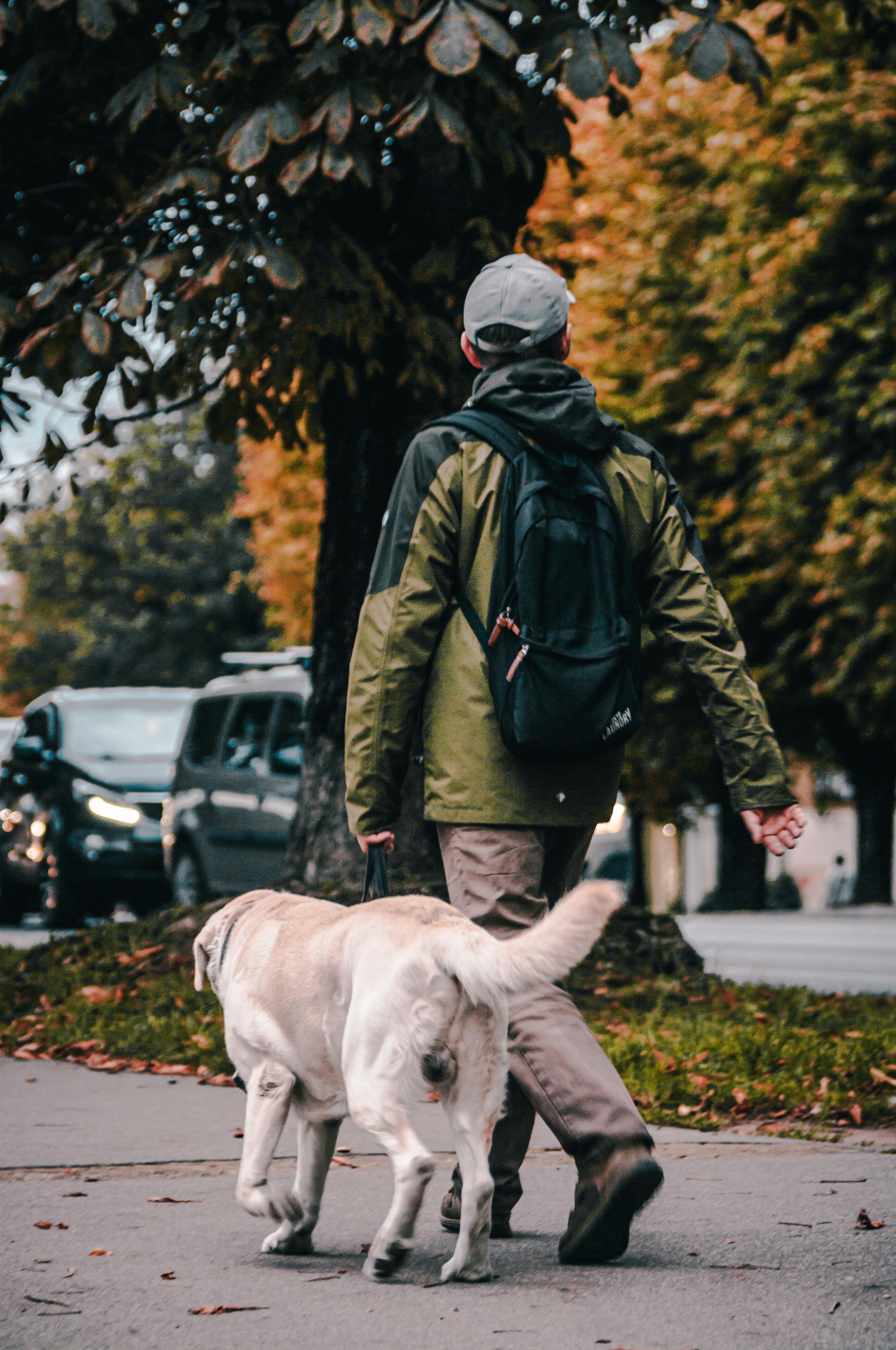 A Man Walking with his Dog · Free Stock Photo