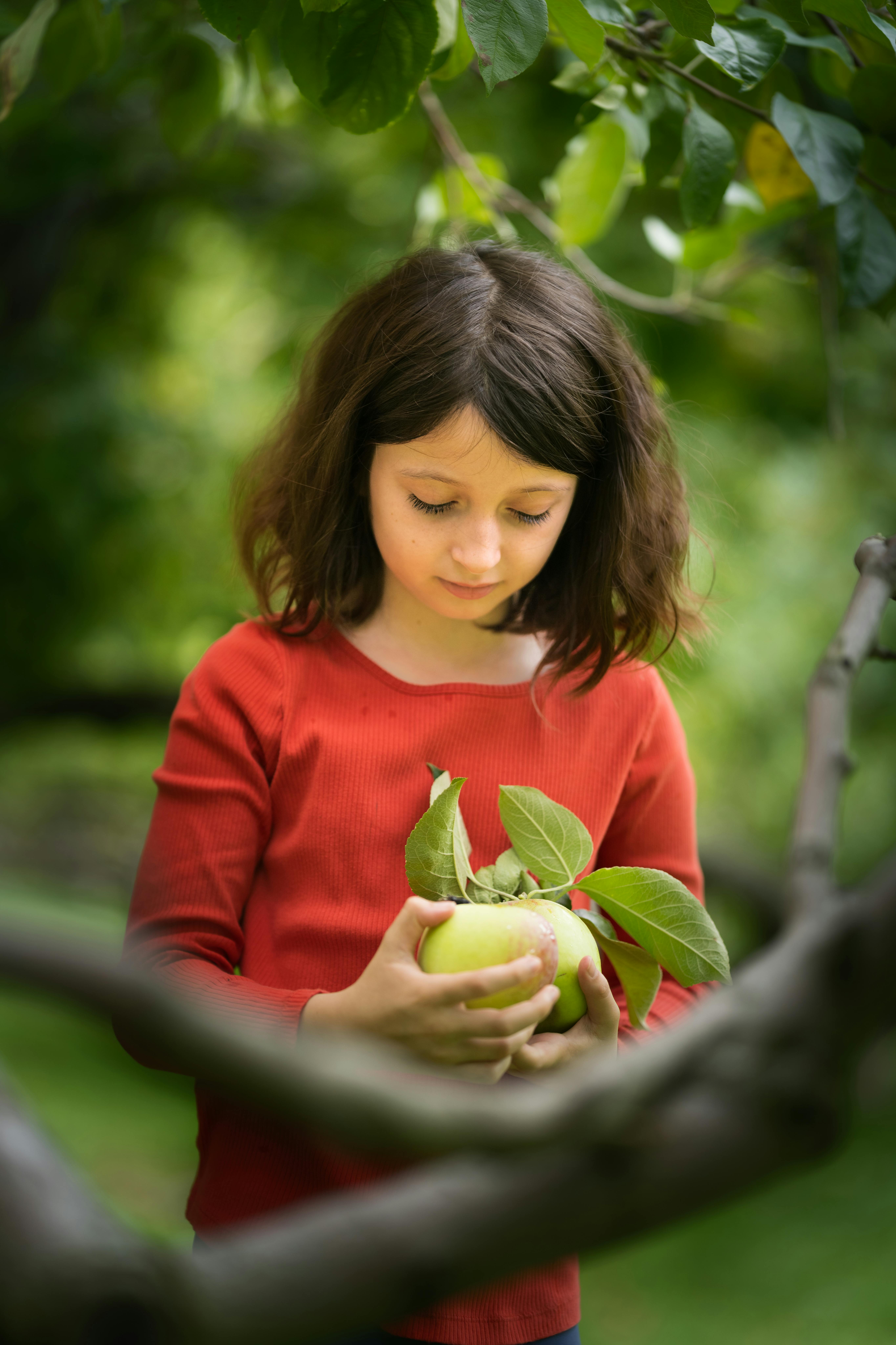 Girl Holding Fruits · Free Stock Photo