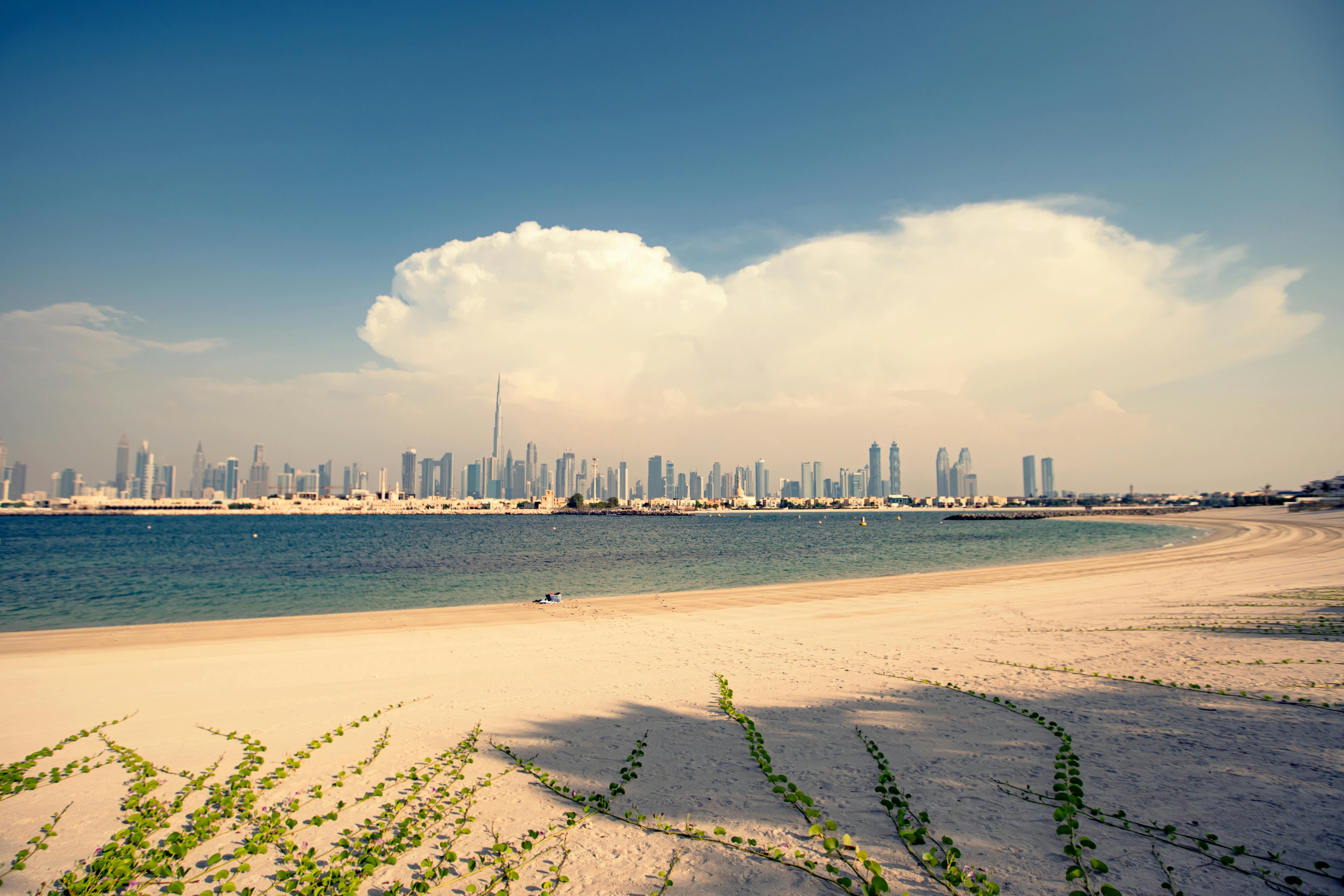Skyscrapers in Modern City near Water · Free Stock Photo