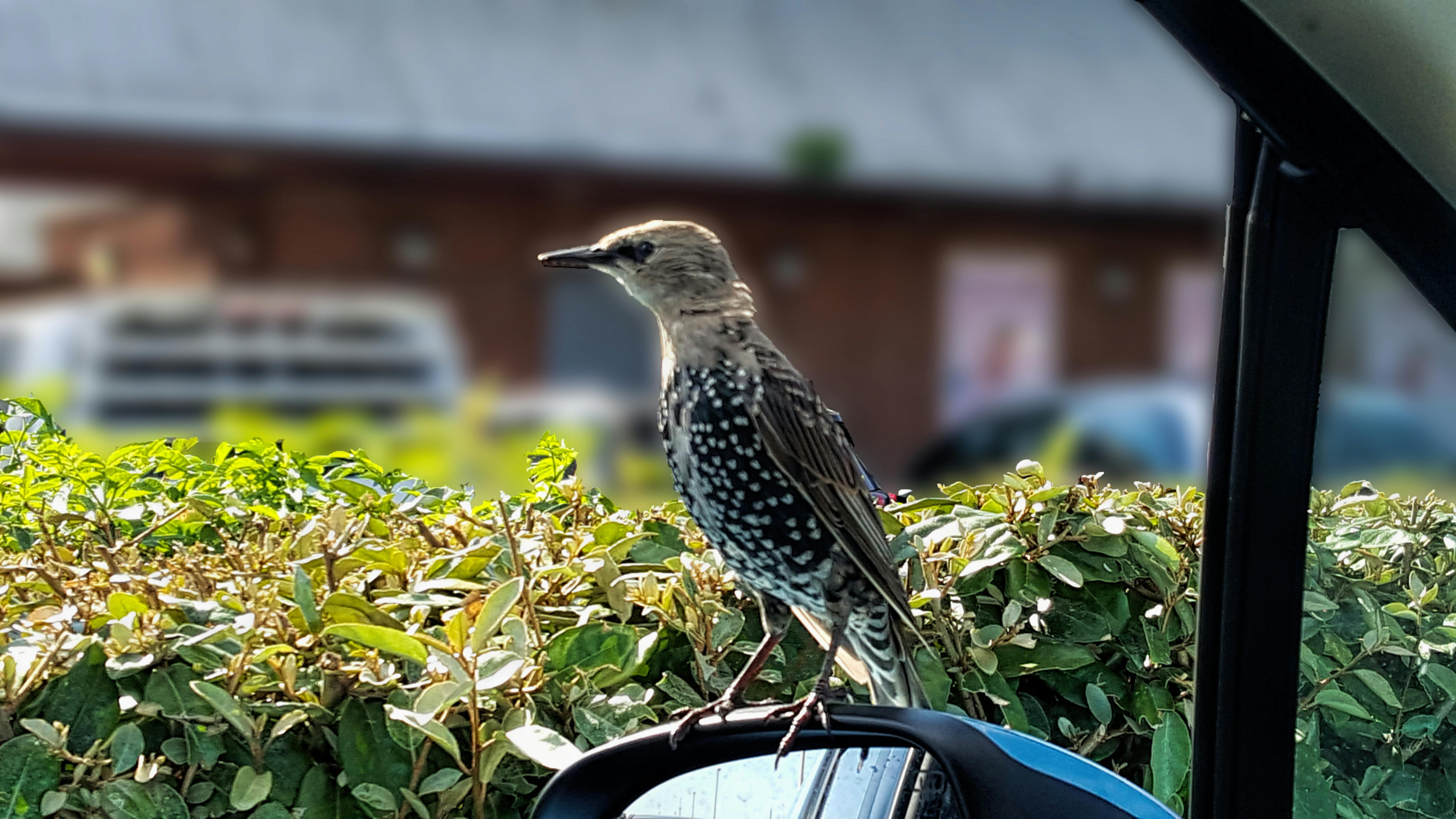 Charles Staats - Fotografía