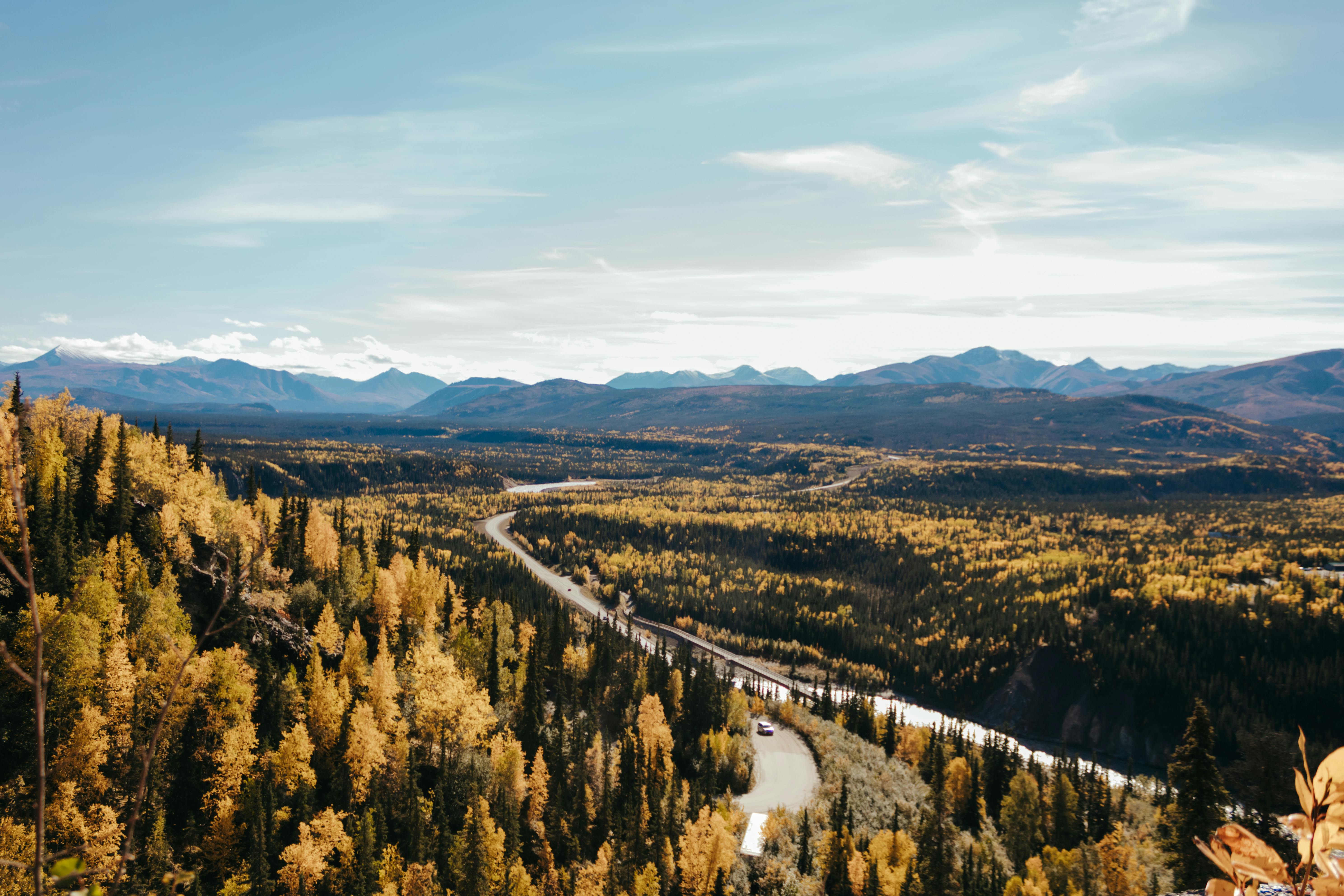 Clear Sky over Forest and River · Free Stock Photo