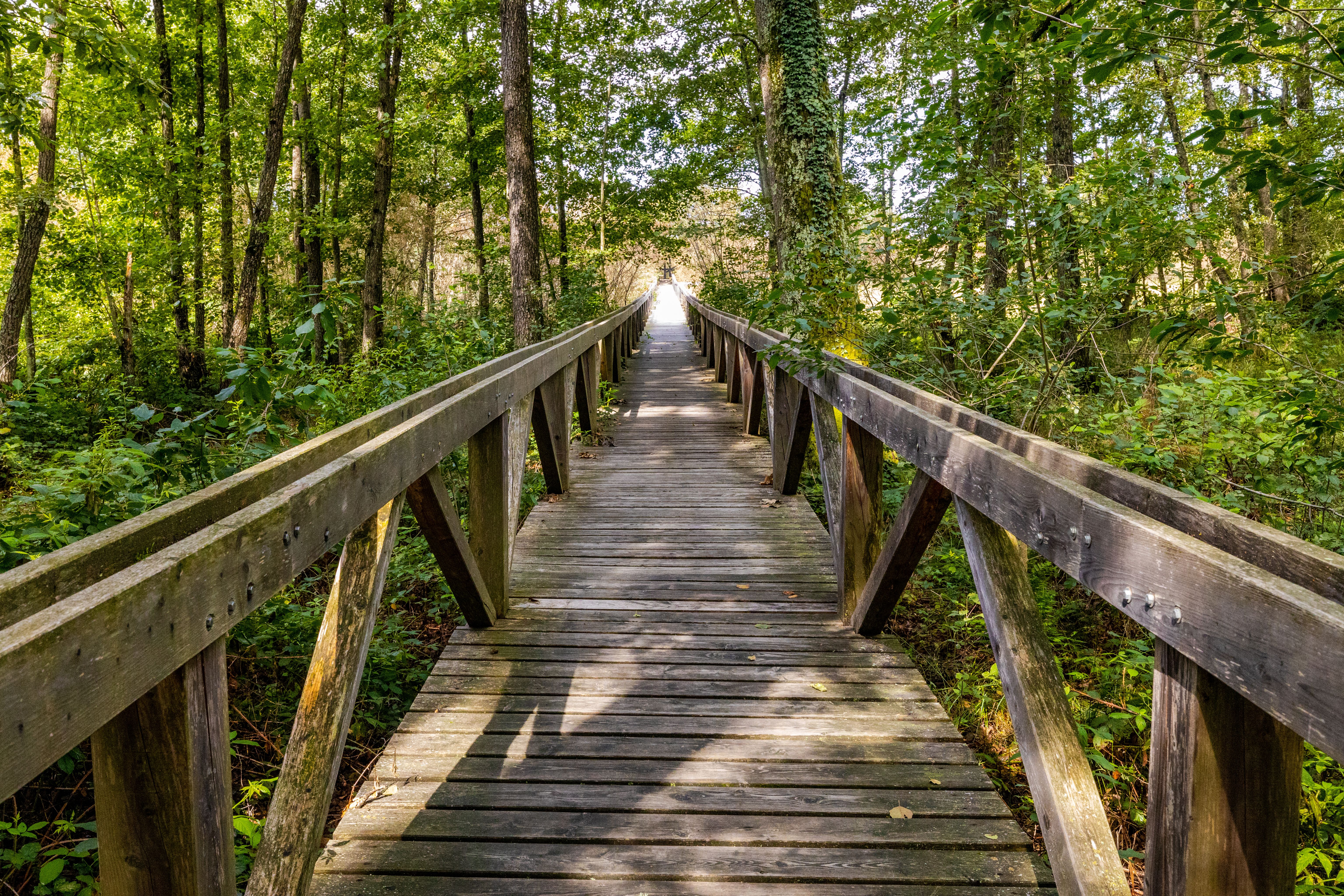 Group of People on Hanging Bridge · Free Stock Photo