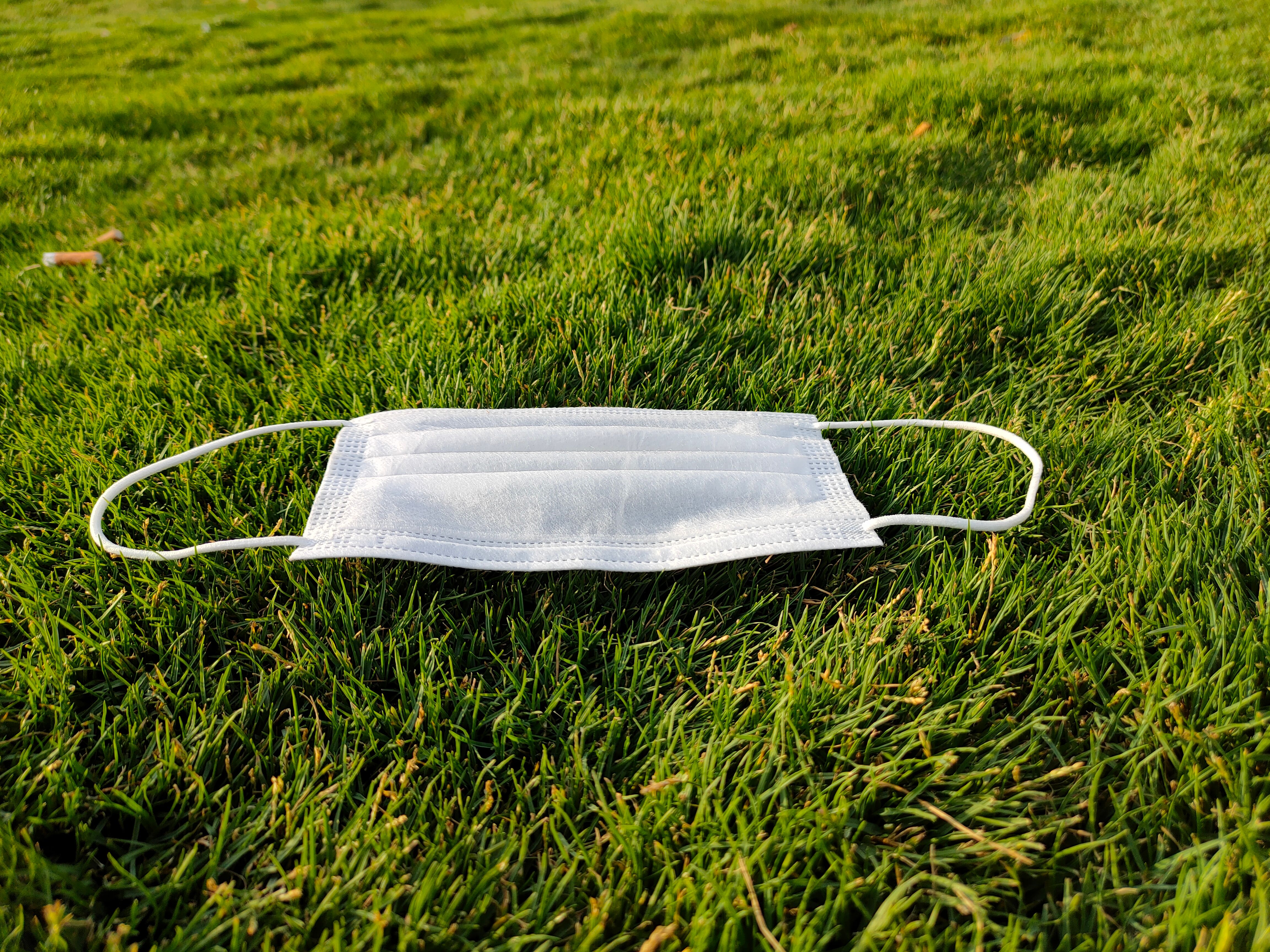 Face Mask on the Grass · Free Stock Photo