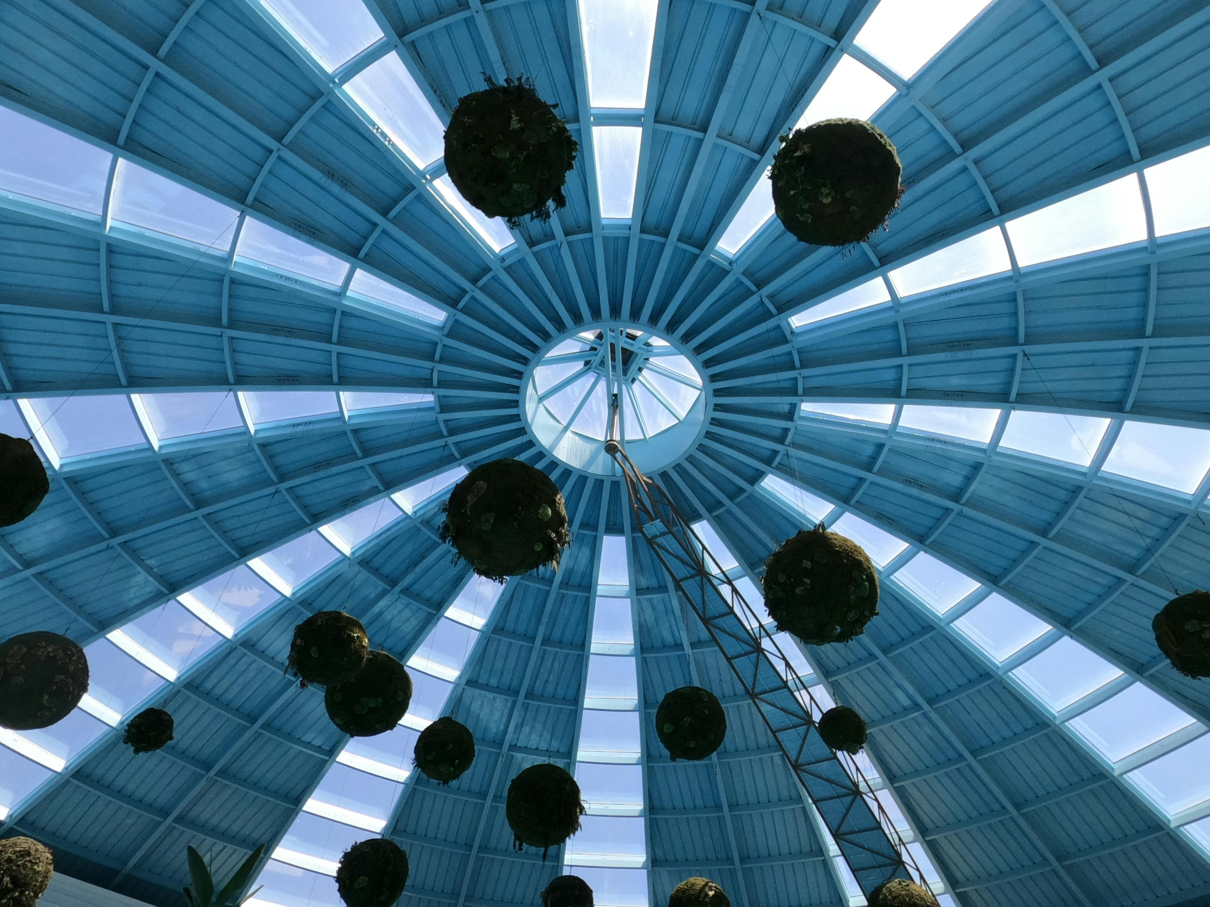 Ceiling Insulate Photos, Download The BEST Free Ceiling Insulate Stock ...