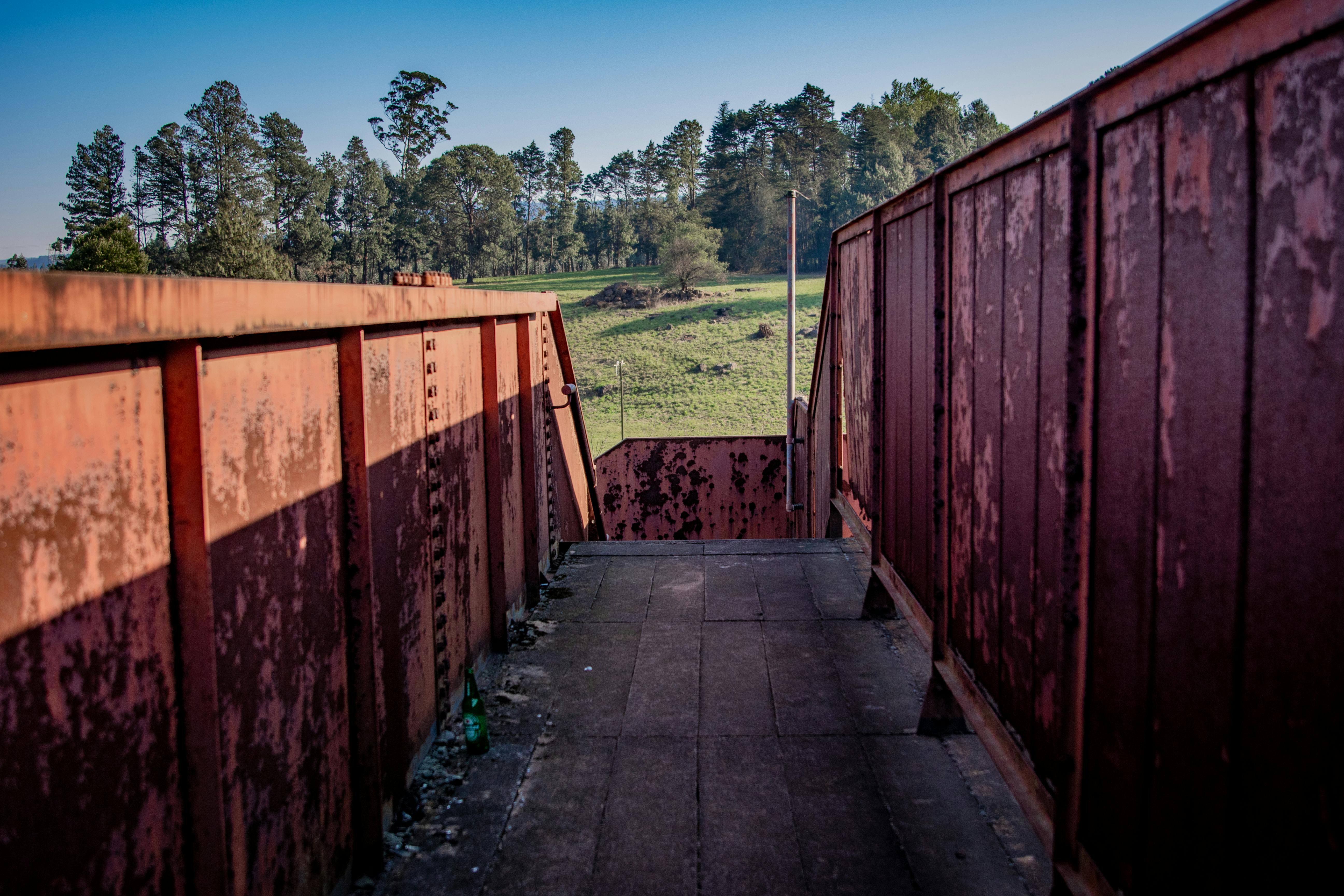 Concrete Bridge with Rusty Metal Railings · Free Stock Photo