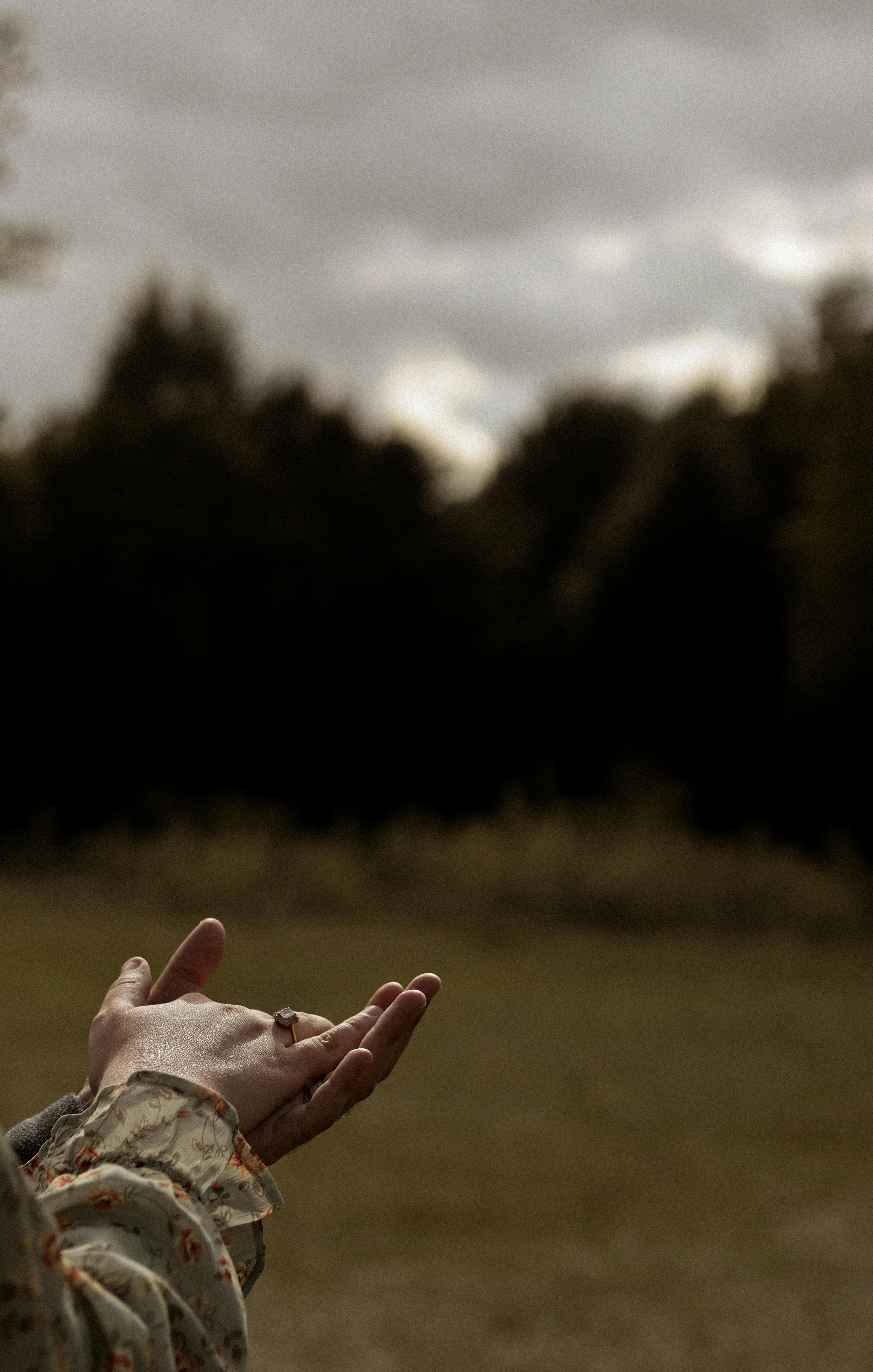 Close Up Shot of Human Hands · Free Stock Photo