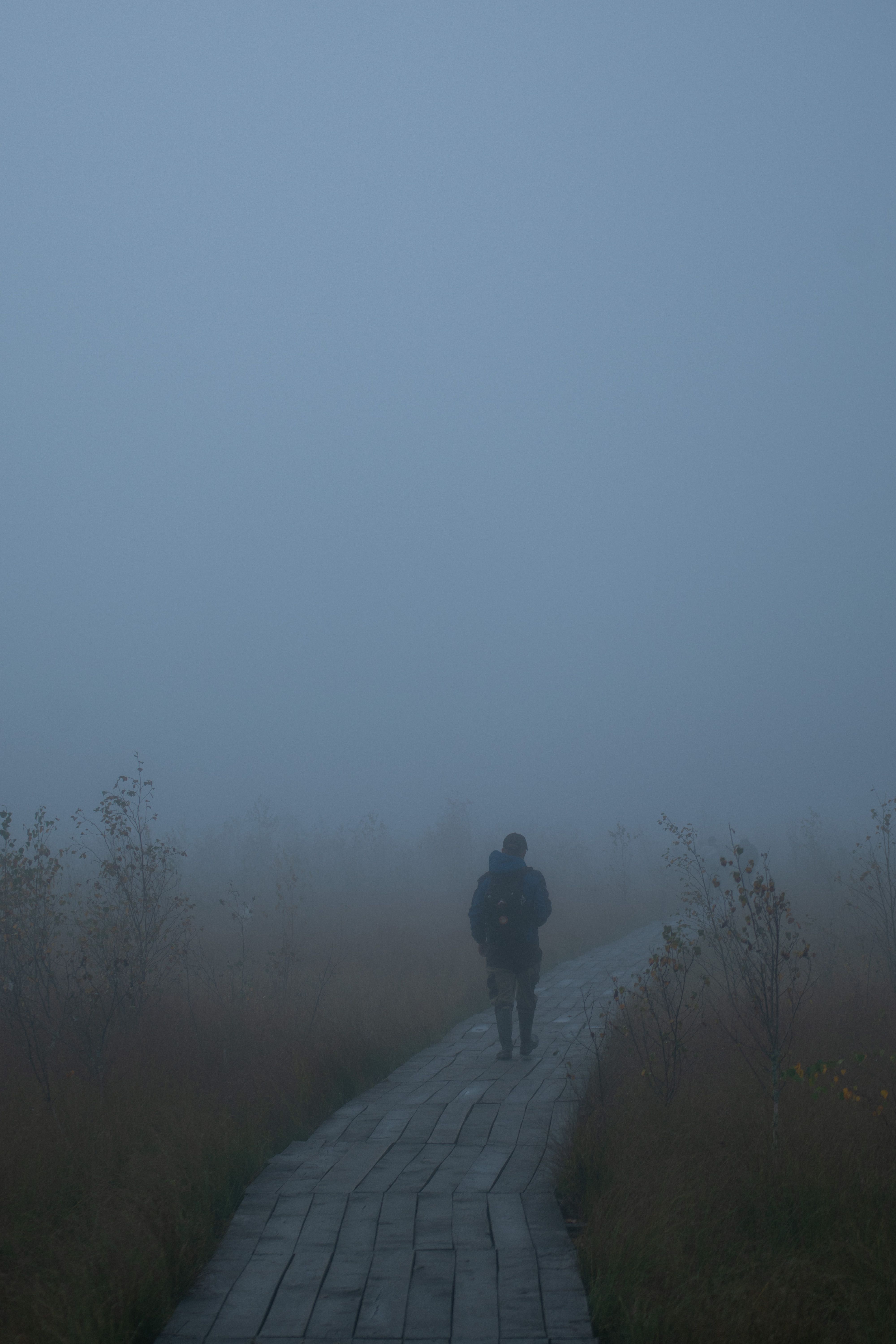 Person Walking on Paved Pathway · Free Stock Photo