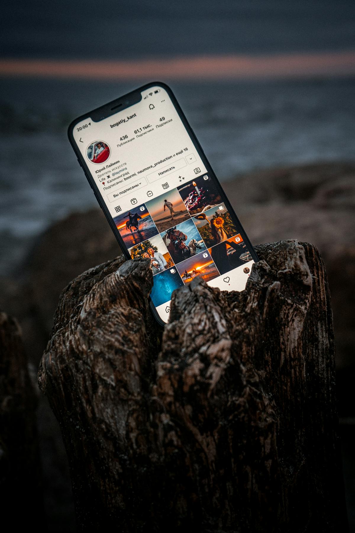 Discord Profile Pictures Photos, Download The BEST Free Discord Profile ...