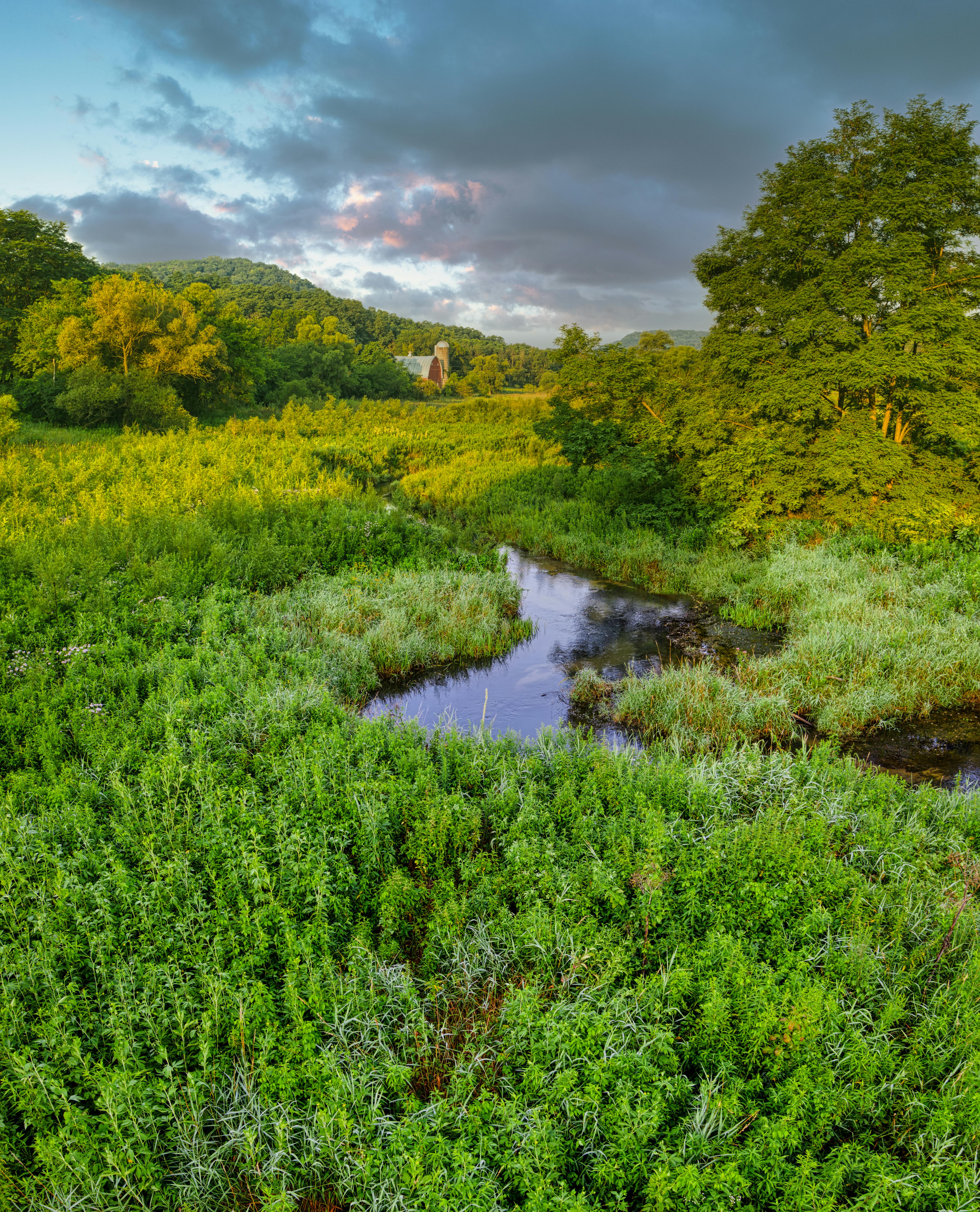 A Brook Between Green Grass and Trees · Free Stock Photo