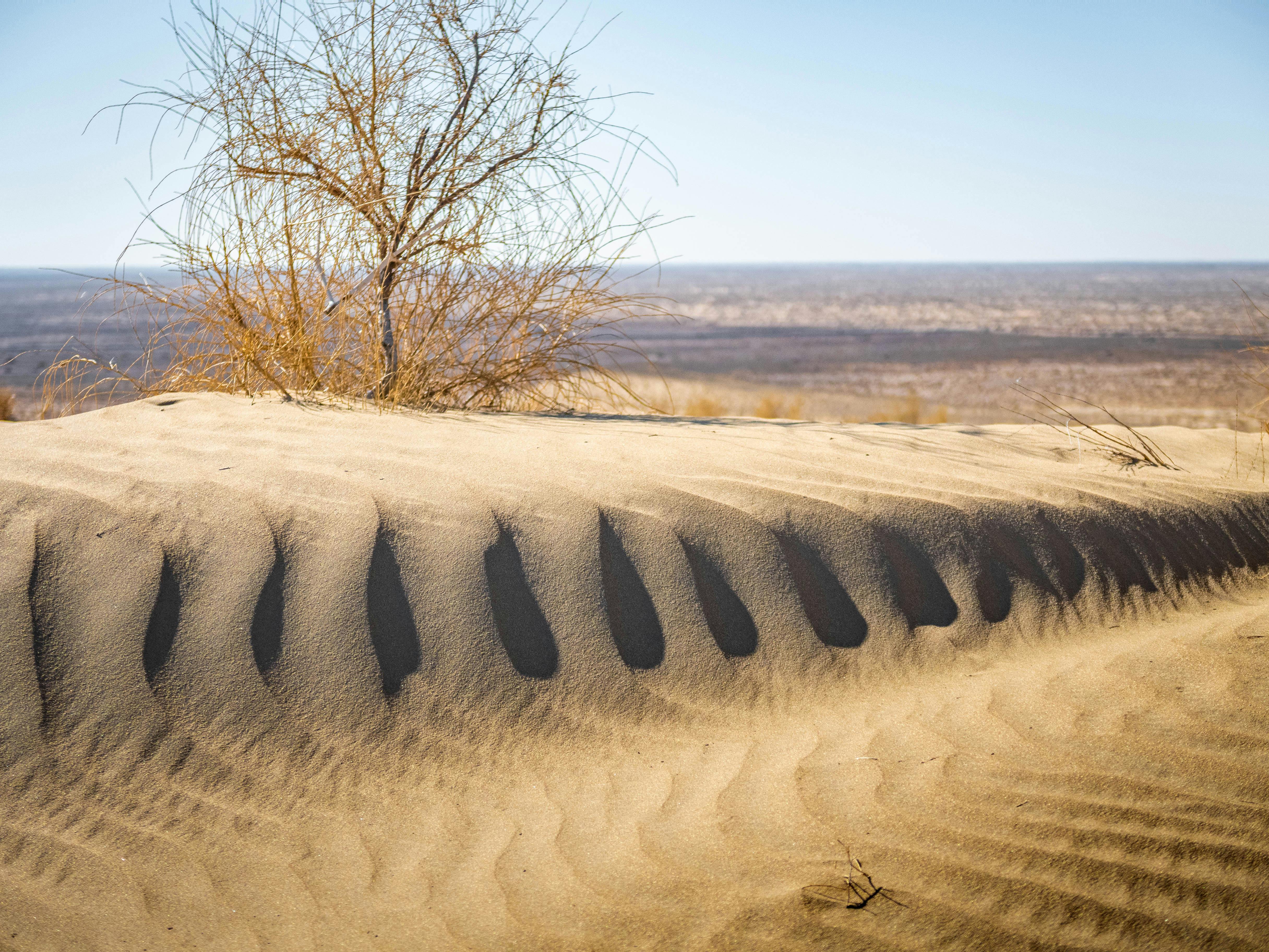 View of a Desert · Free Stock Photo