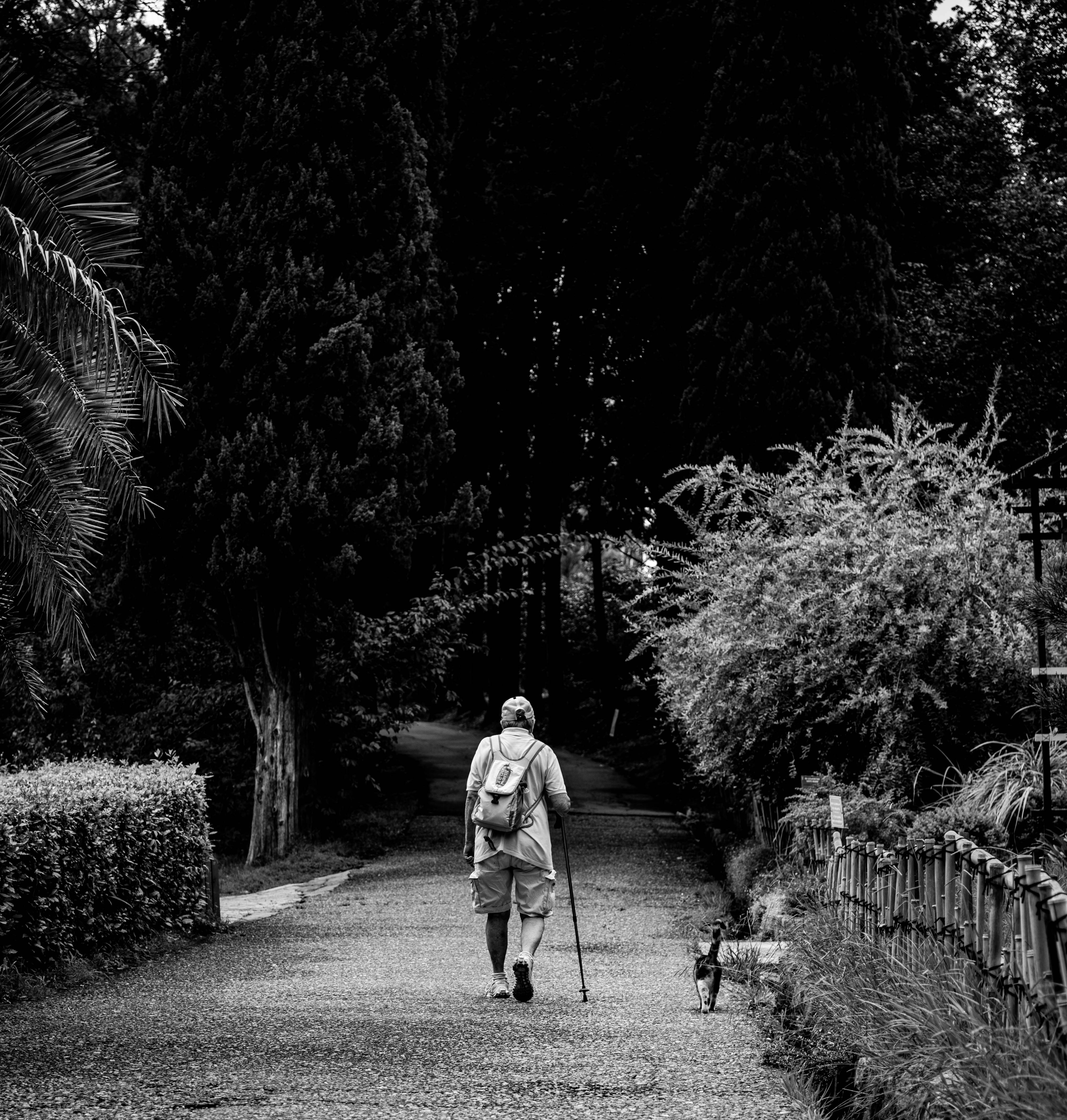 Grayscale Photo of a Person Walking on the Pathway · Free Stock Photo