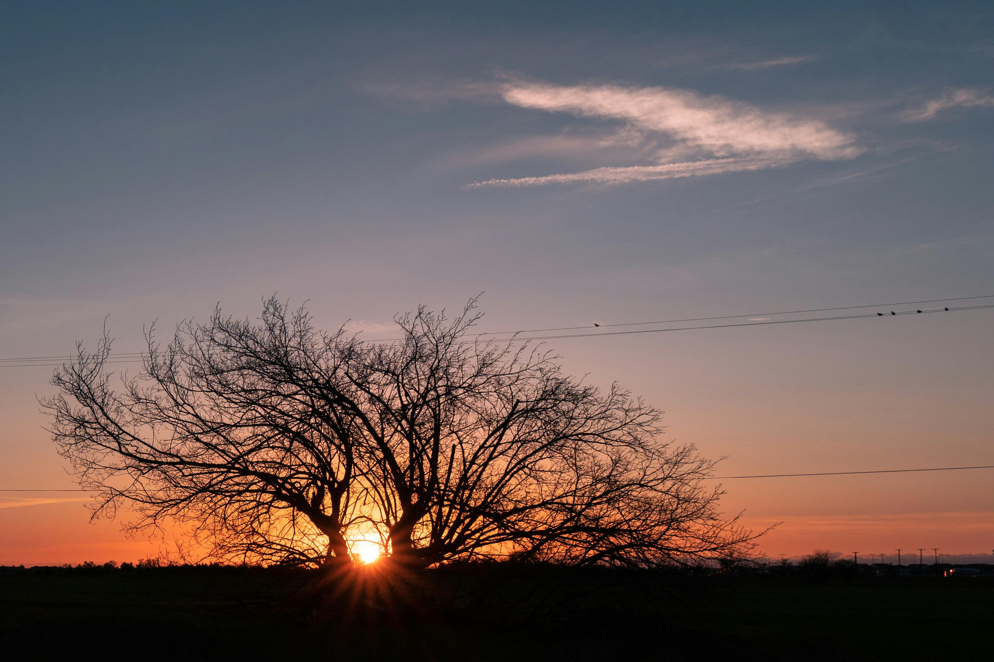 Jace Miller - Photography