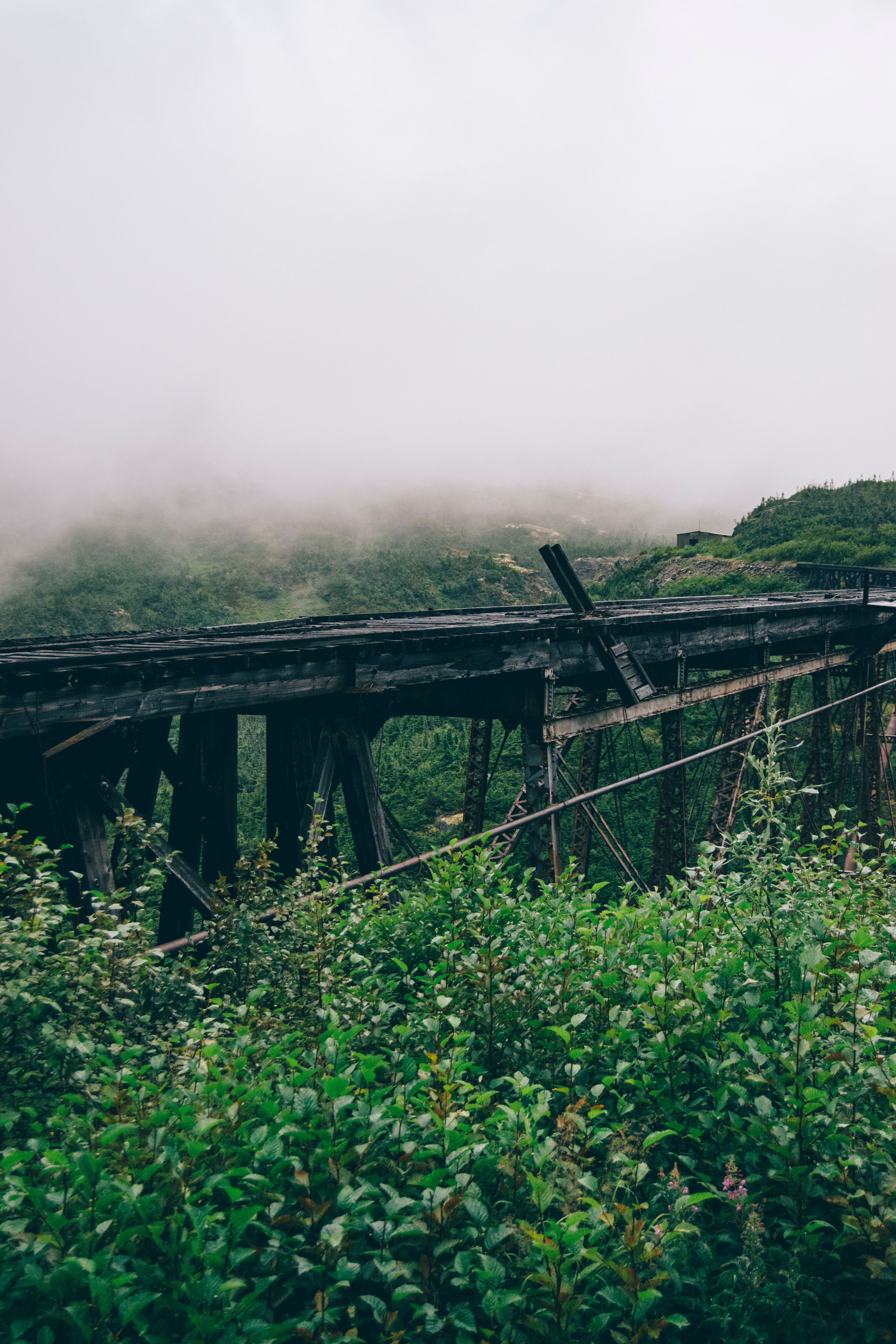 Damaged Wooden Bridge Over Green Trees on a Foggy Sky · Free Stock Photo