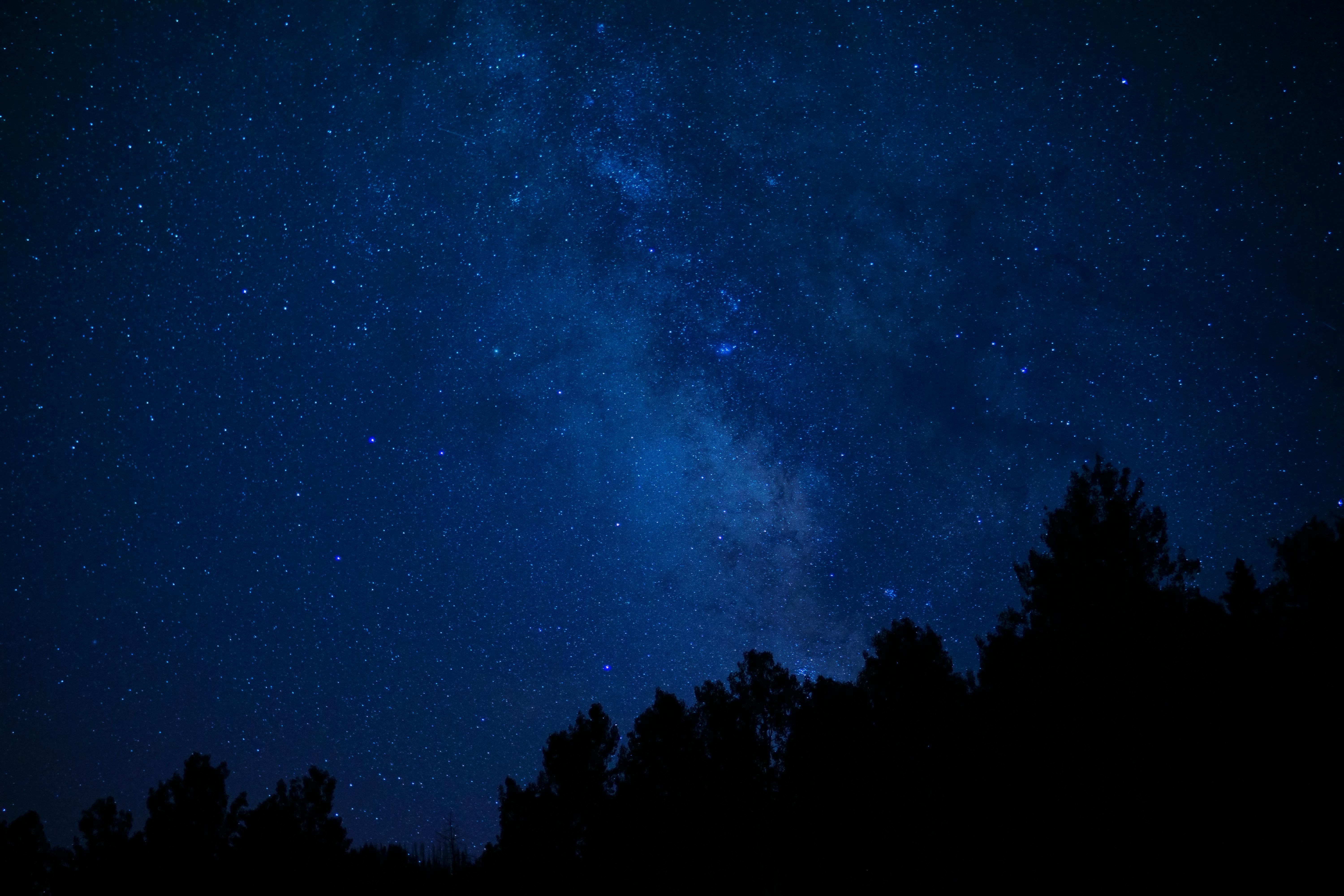 Starlight Photos, Download The BEST Free Starlight Stock Photos & HD Images