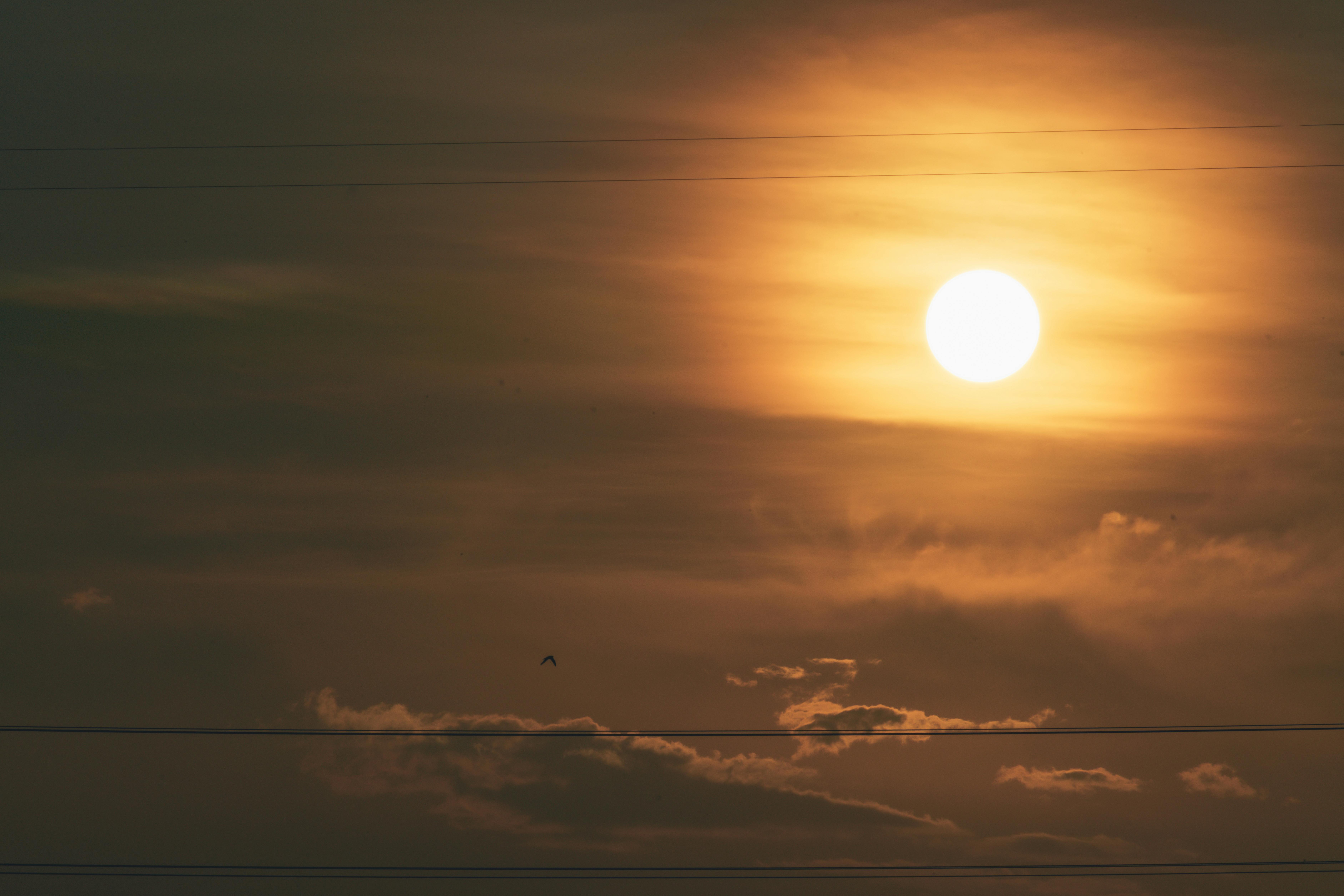 Sun over the Clouds during Sunset · Free Stock Photo